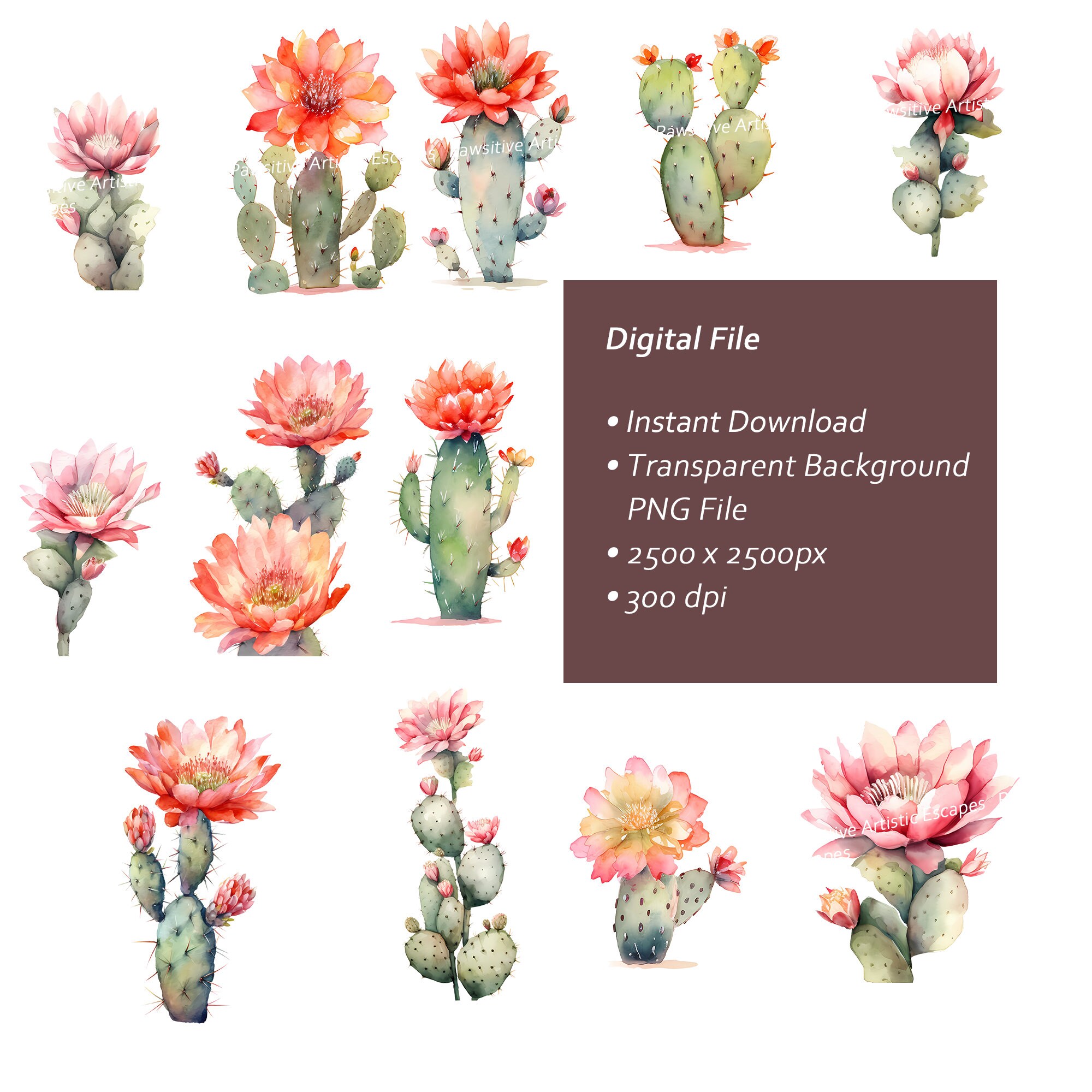 Blooming Cactus Clipart Set - Desert Graphics - Whimsical Cacti ...