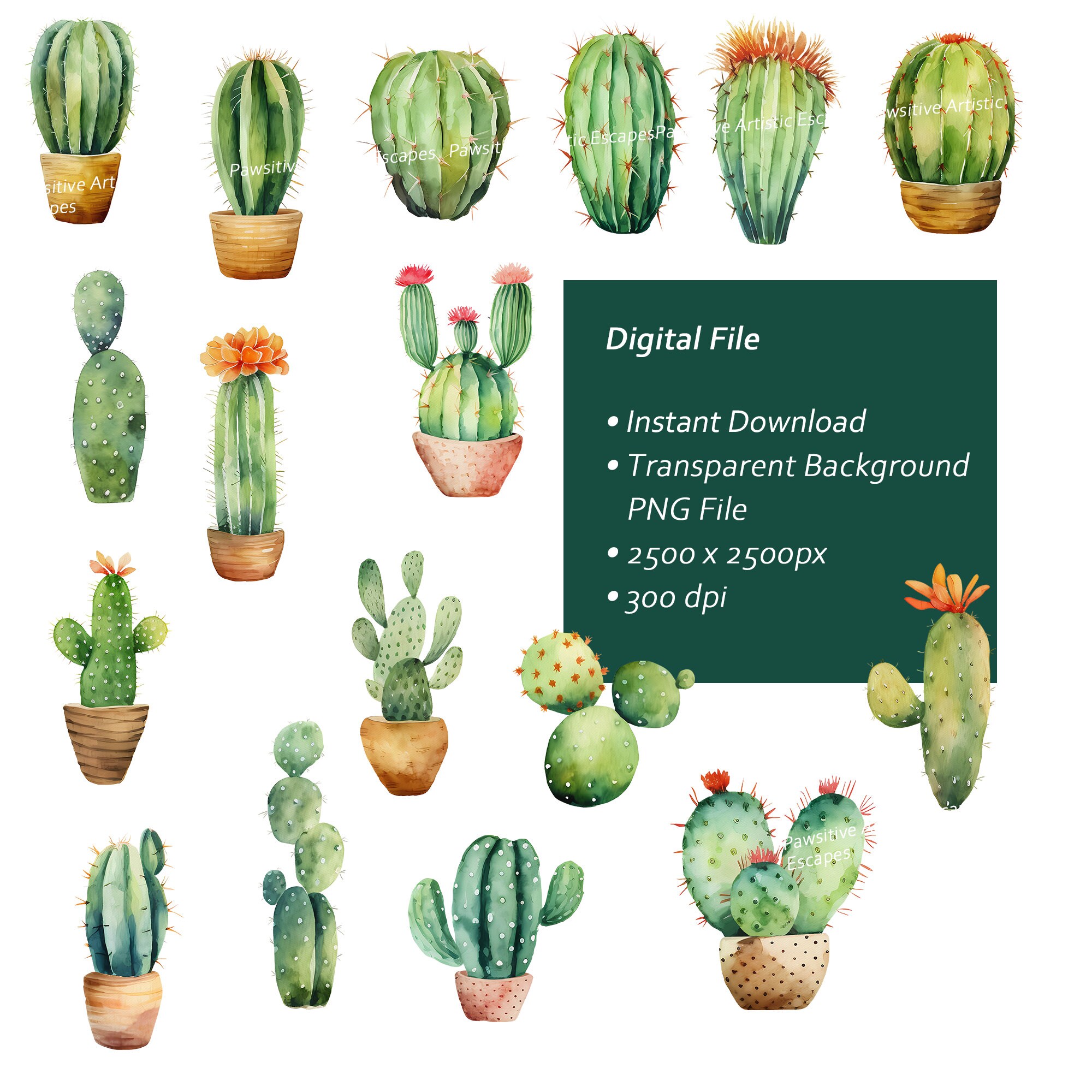 Watercolor Cactus Clipart Set - Desert Graphics - Whimsical Cacti ...