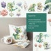 Baby Dragon Whimsy Clipart Set - Whimsical Dragons Graphics - Kawaii ...