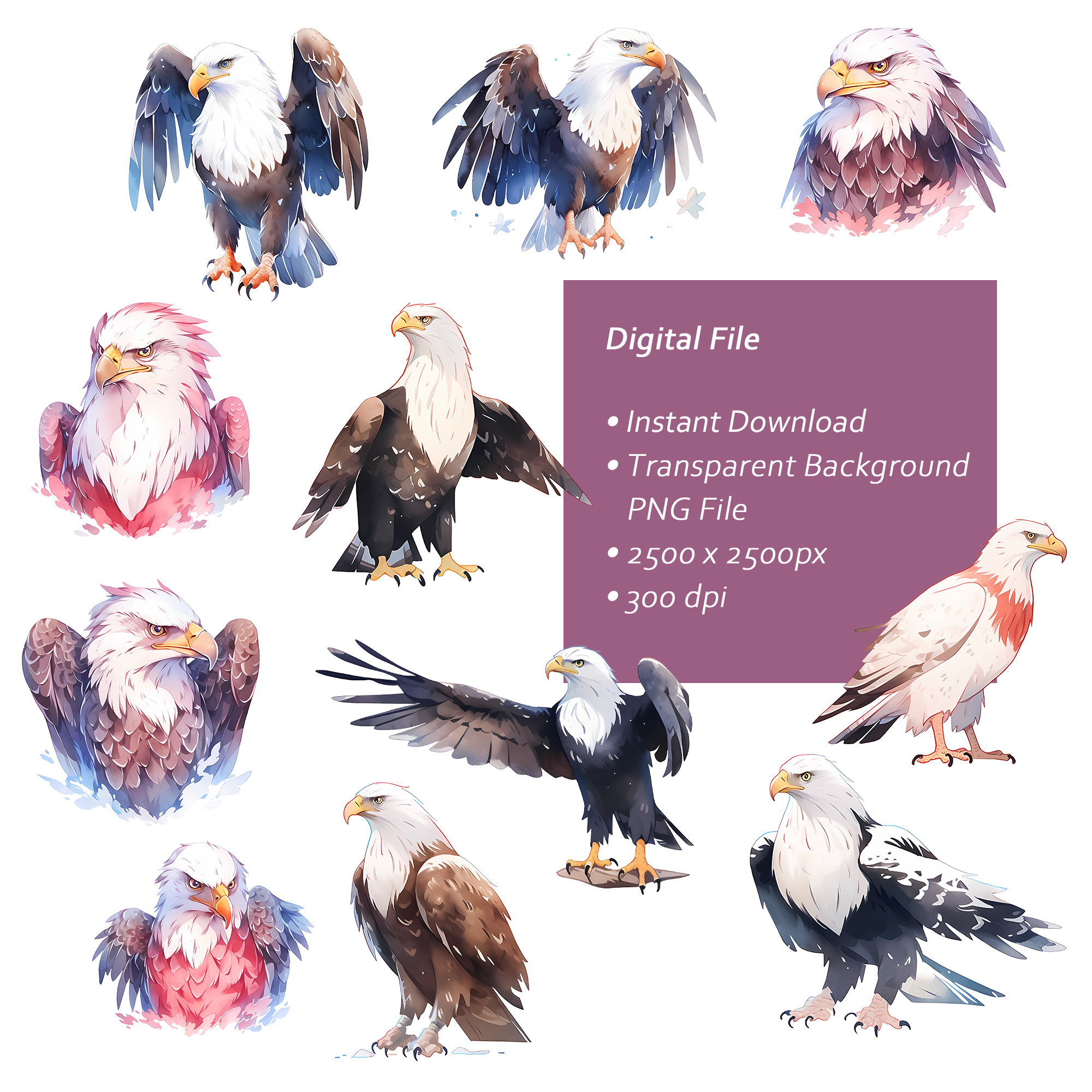 Cute Eagle Clipart Set – Whimsical Cartoon Bird (PNG, Digital Download ...