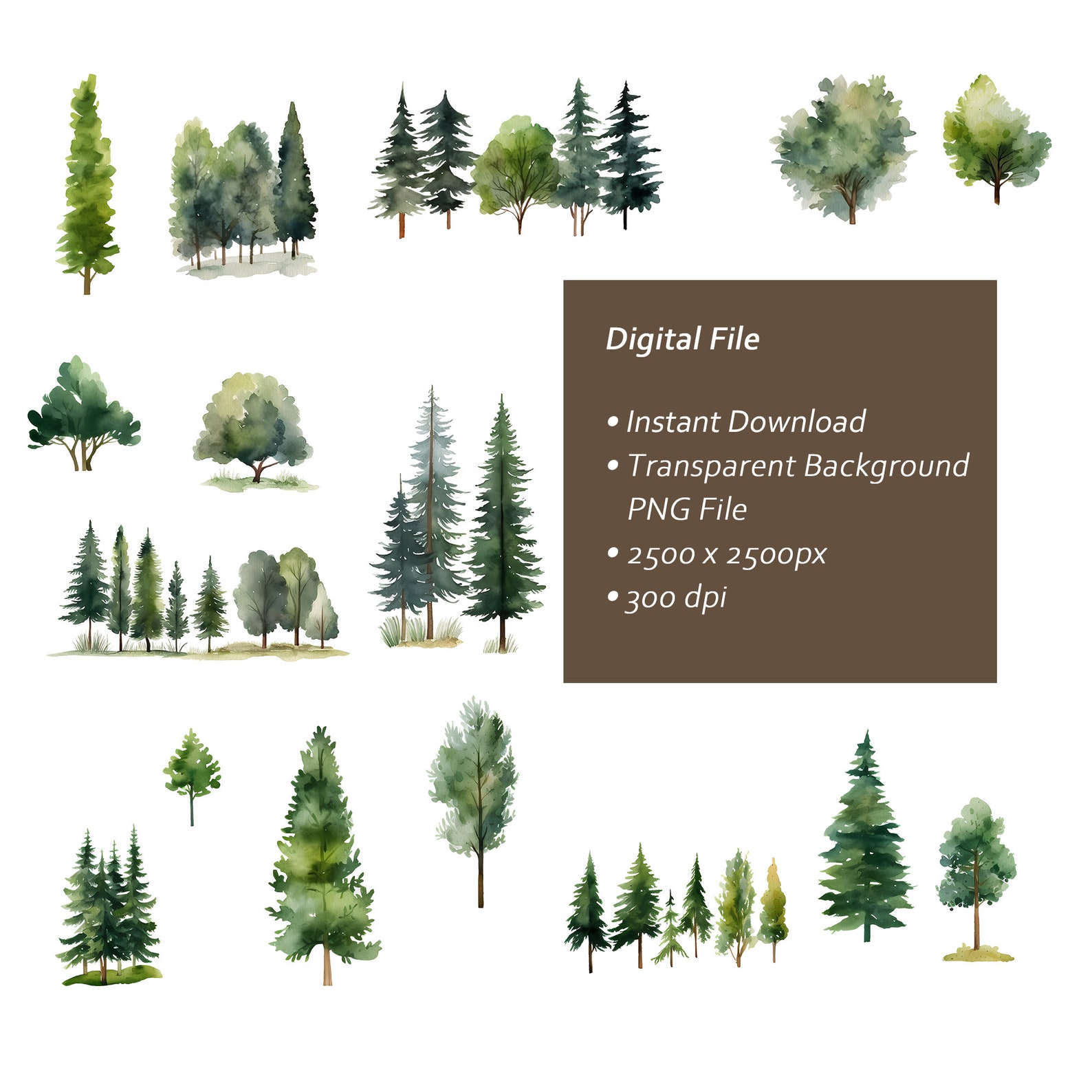 Watercolor Forest Clipart Set – Woodland Graphics (PNG, Digital ...