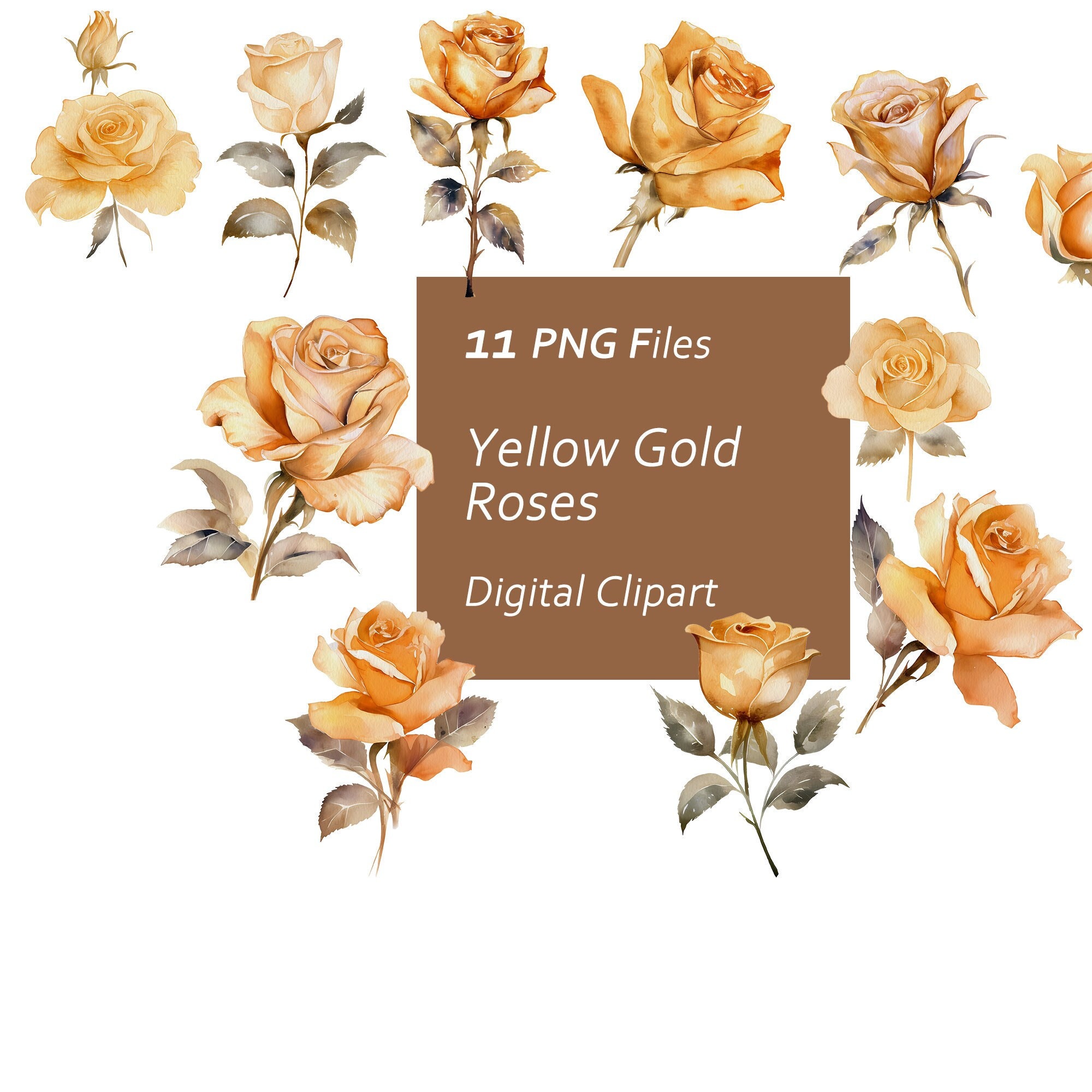 Watercolor Yellow Gold Roses Clipart Set - Floral Graphics - Yellow ...