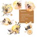 Whimsical Bee Clipart Set - Adorable Bee - Nature Joy - Whimsical ...