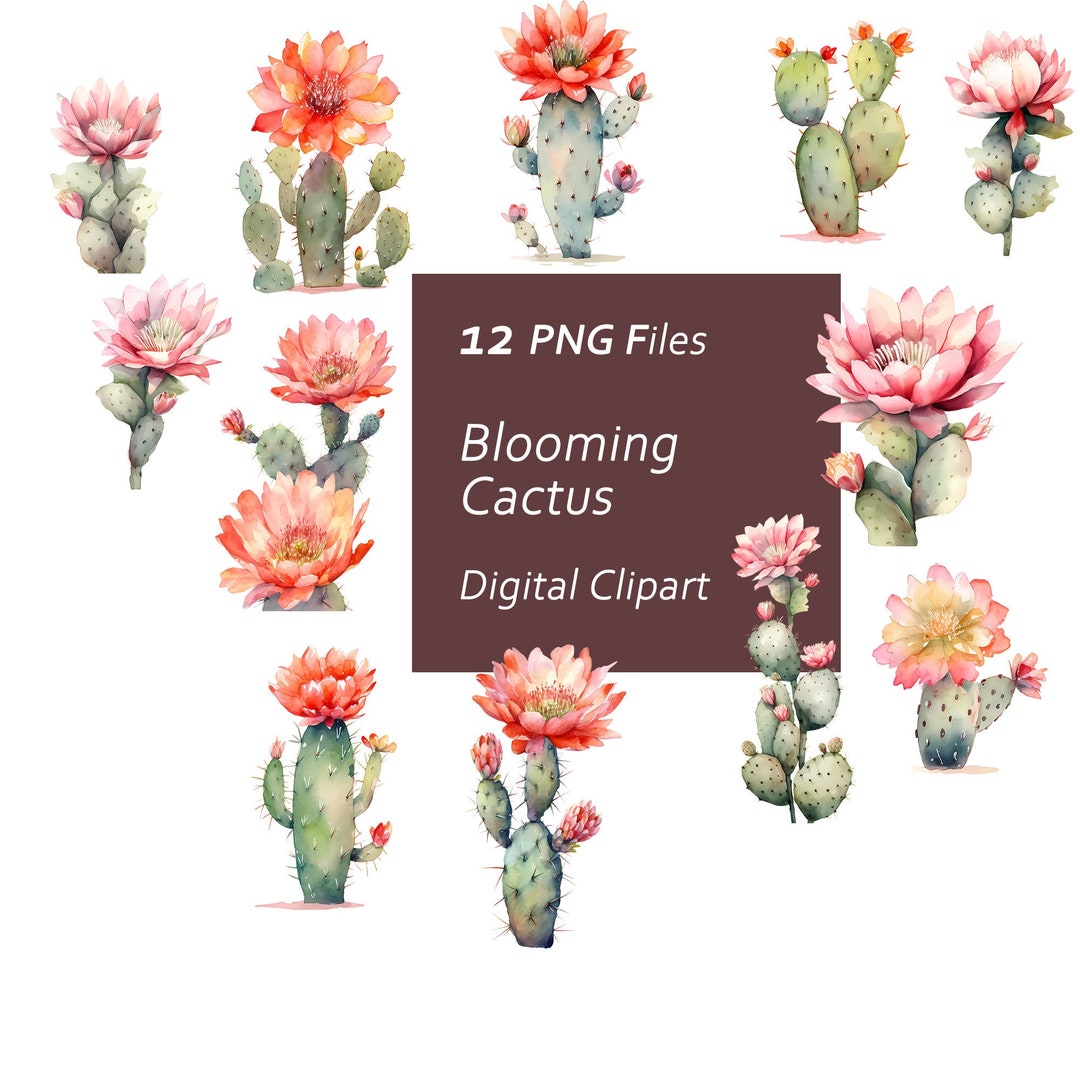Blooming Cactus Clipart Set - Desert Graphics - Whimsical Cacti ...
