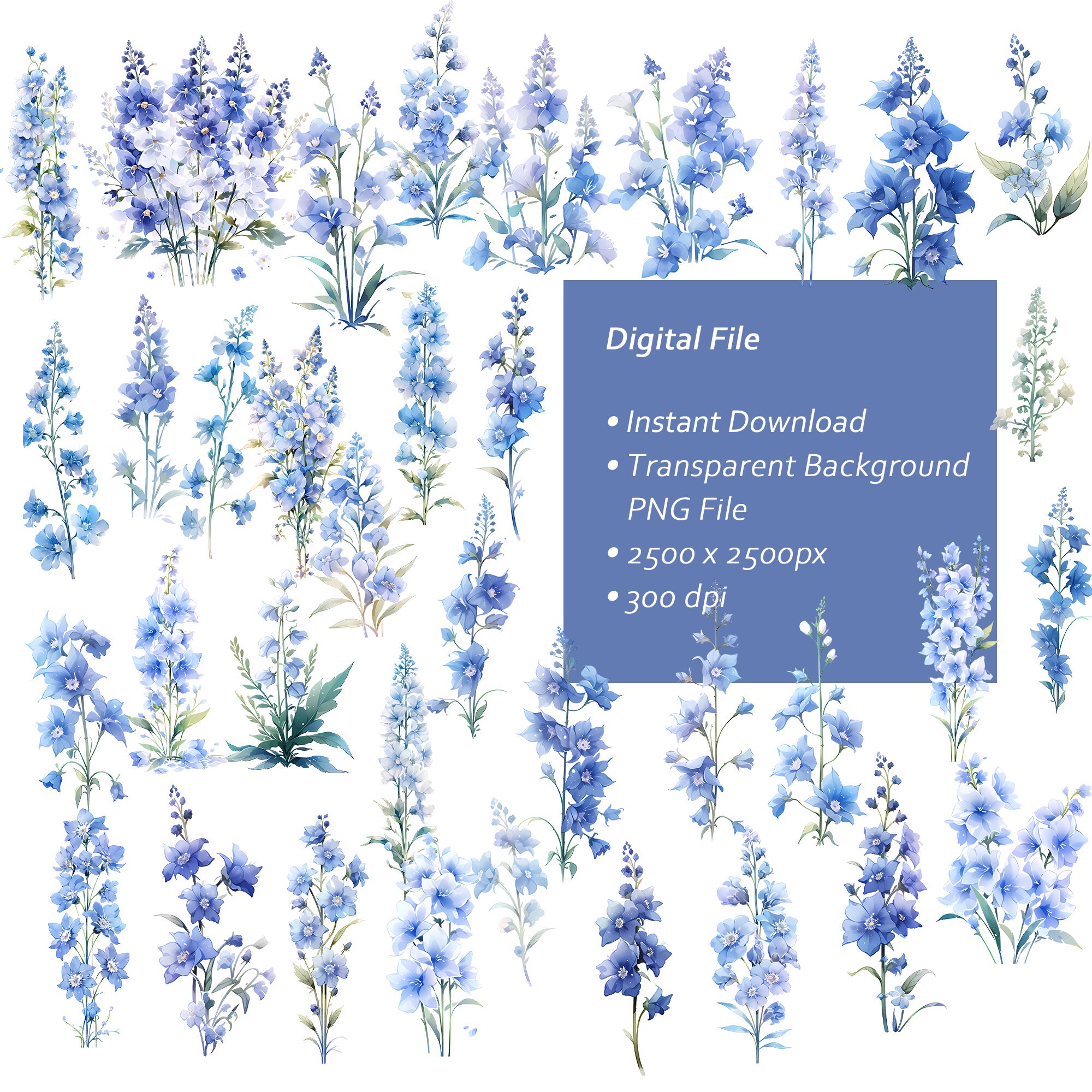 Delphinium Blue Flowers Clipart Set - Blue Blooms - Delphiniums Bouquet ...