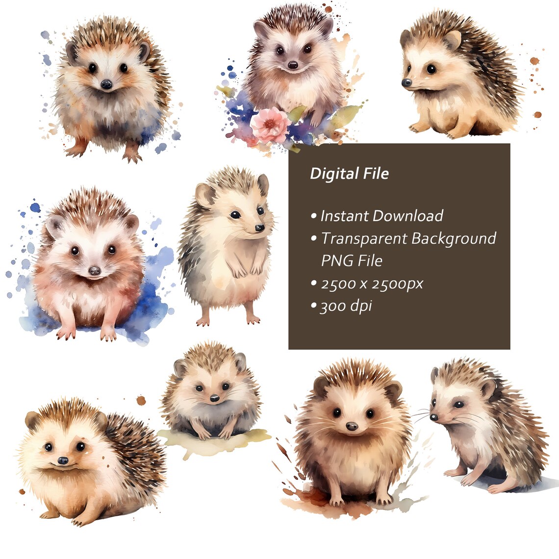 Watercolor Hedgehog Clipart Set – Animal PNG Images (digital Download ...