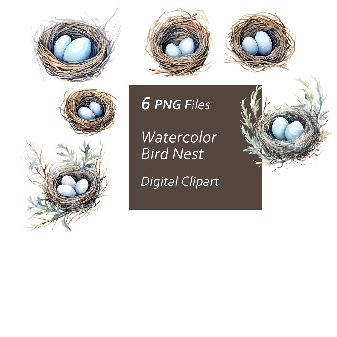 Watercolor Bird Nest Clipart Set – Printable Nest Art (PNG, Commercial ...