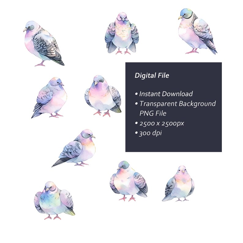 Kawaii Pigeon Clipart Set Animal Illustration Instant Download PNG, Commercial Use, Printable ...