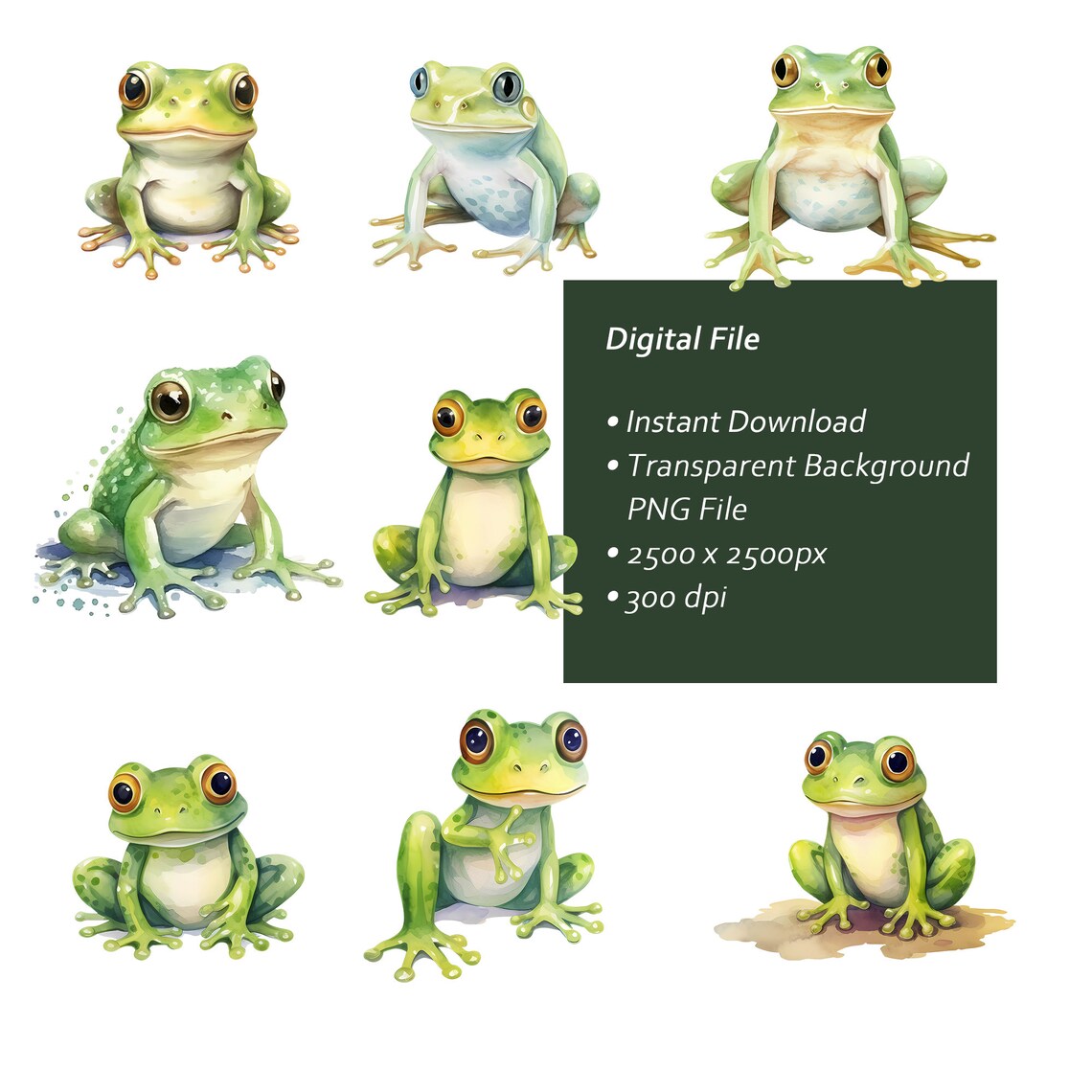 Watercolor Baby Frog Clipart – Animal Pngs (commercial Use, Digital ...
