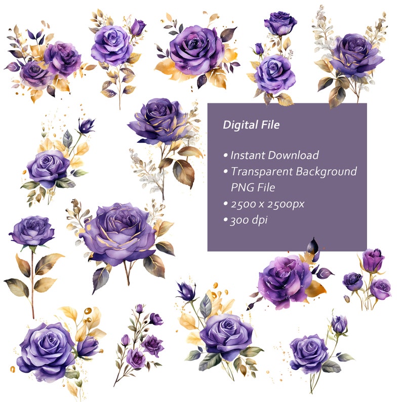 Purple and Gold Watercolor Roses Clipart – Floral Design Elements (PNG ...