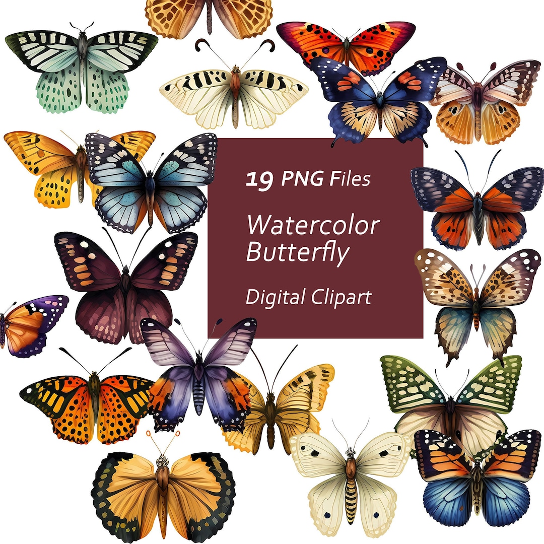 Watercolor Butterfly Clipart Set - Instant Download PNG, Commercial Use ...