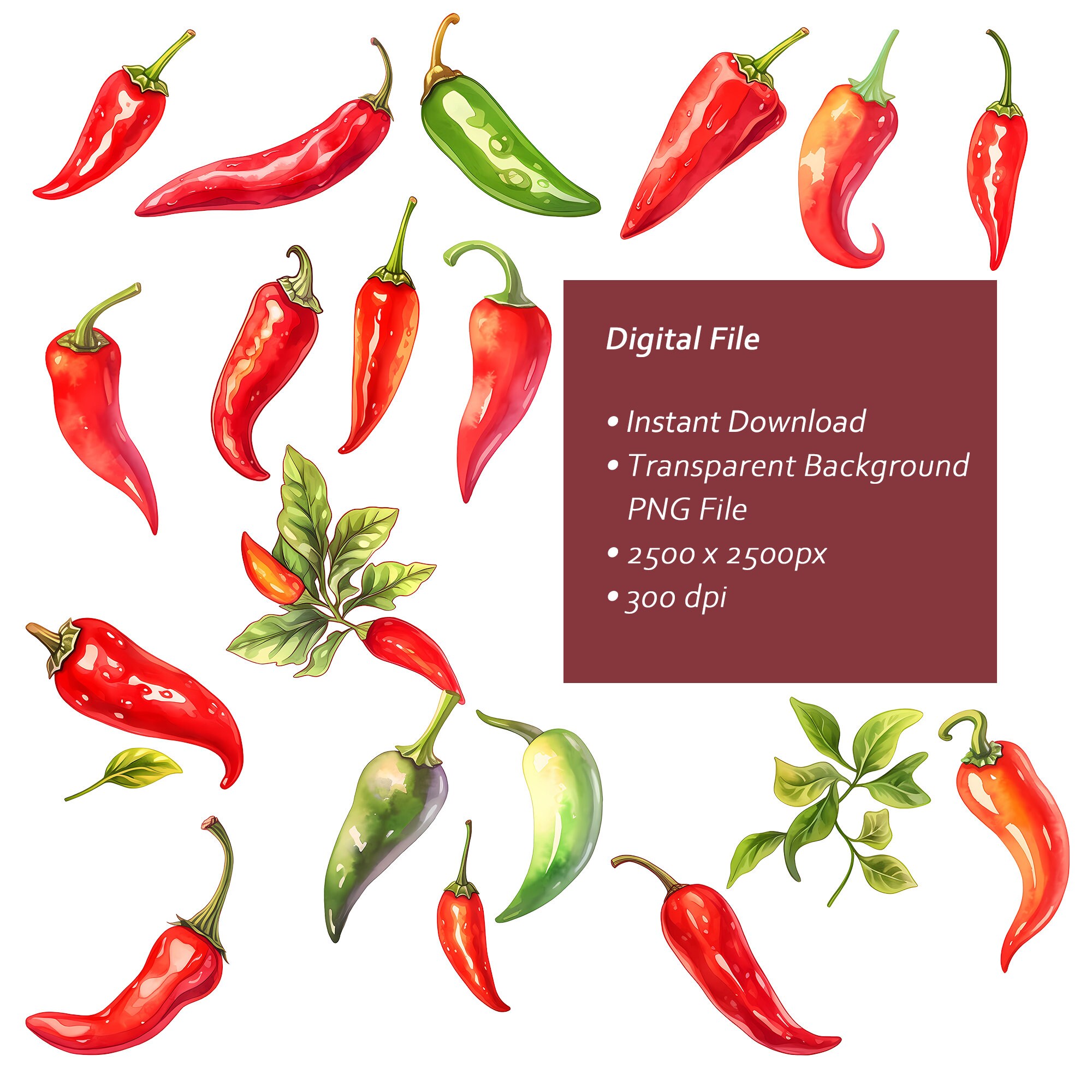 Chili Pepper Clipart Set - Spicy Theme - Cooking Theme - Instant ...