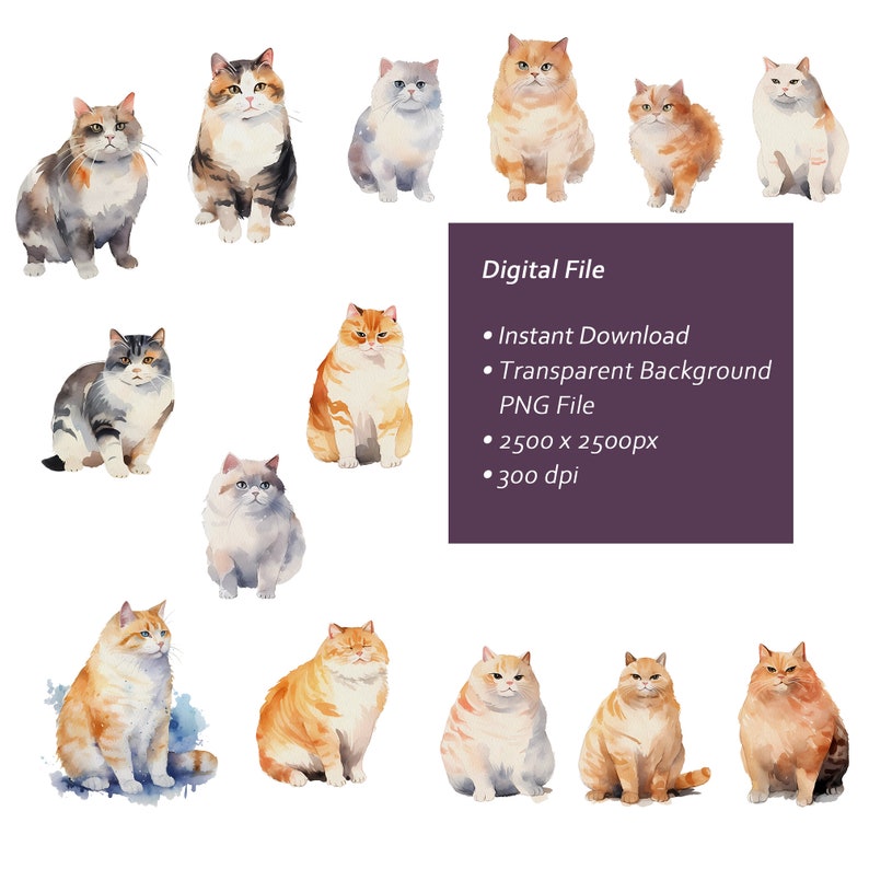 Watercolor Chubby Cats Clipart Set – Big Cat PNG Images (digital ...