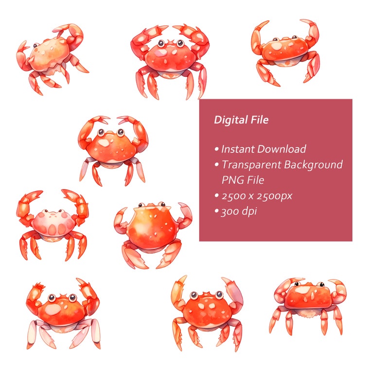 Stabby Crabby Clipart Set - Cute Crustacean - Sea Theme - Instant ...