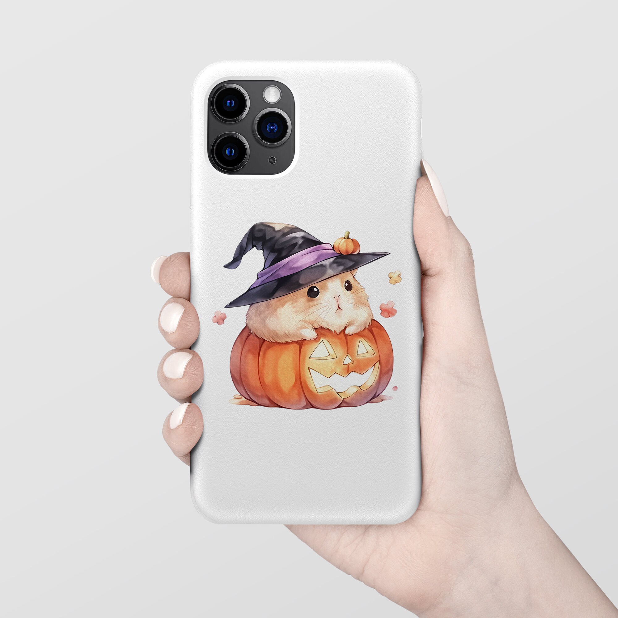 Hamster Halloween Clipart - Witch Hamsters, Pumpkin PNG (digital ...
