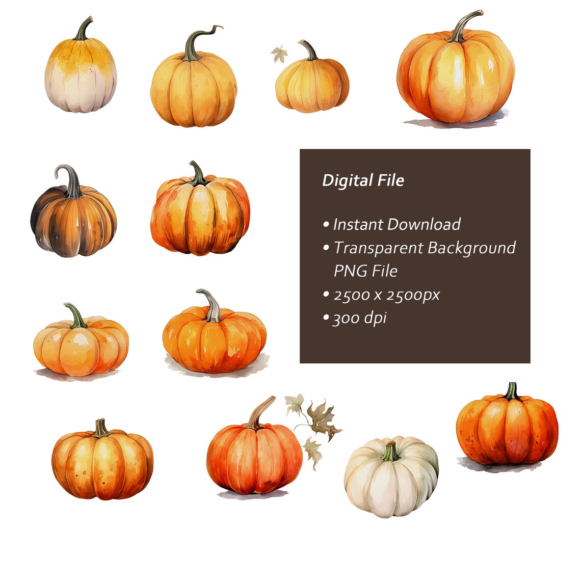 Watercolor Pumpkin Clipart Set - Fall Graphics - Harvest Clipart ...