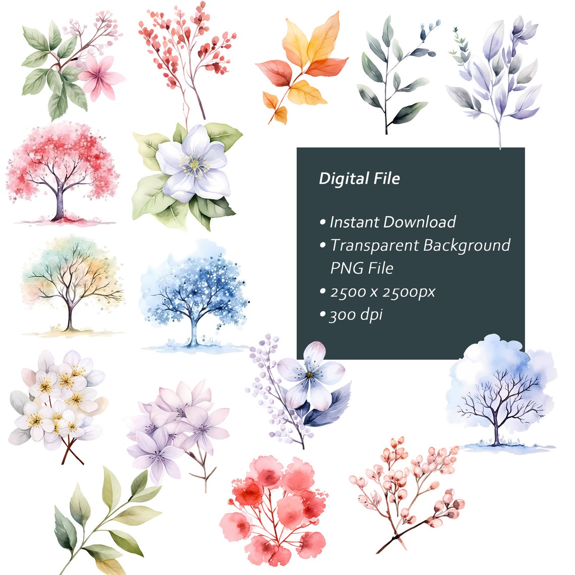 Watercolor 4 Seasons Clipart Set Seasonal Illustrations Nature Graphics ...