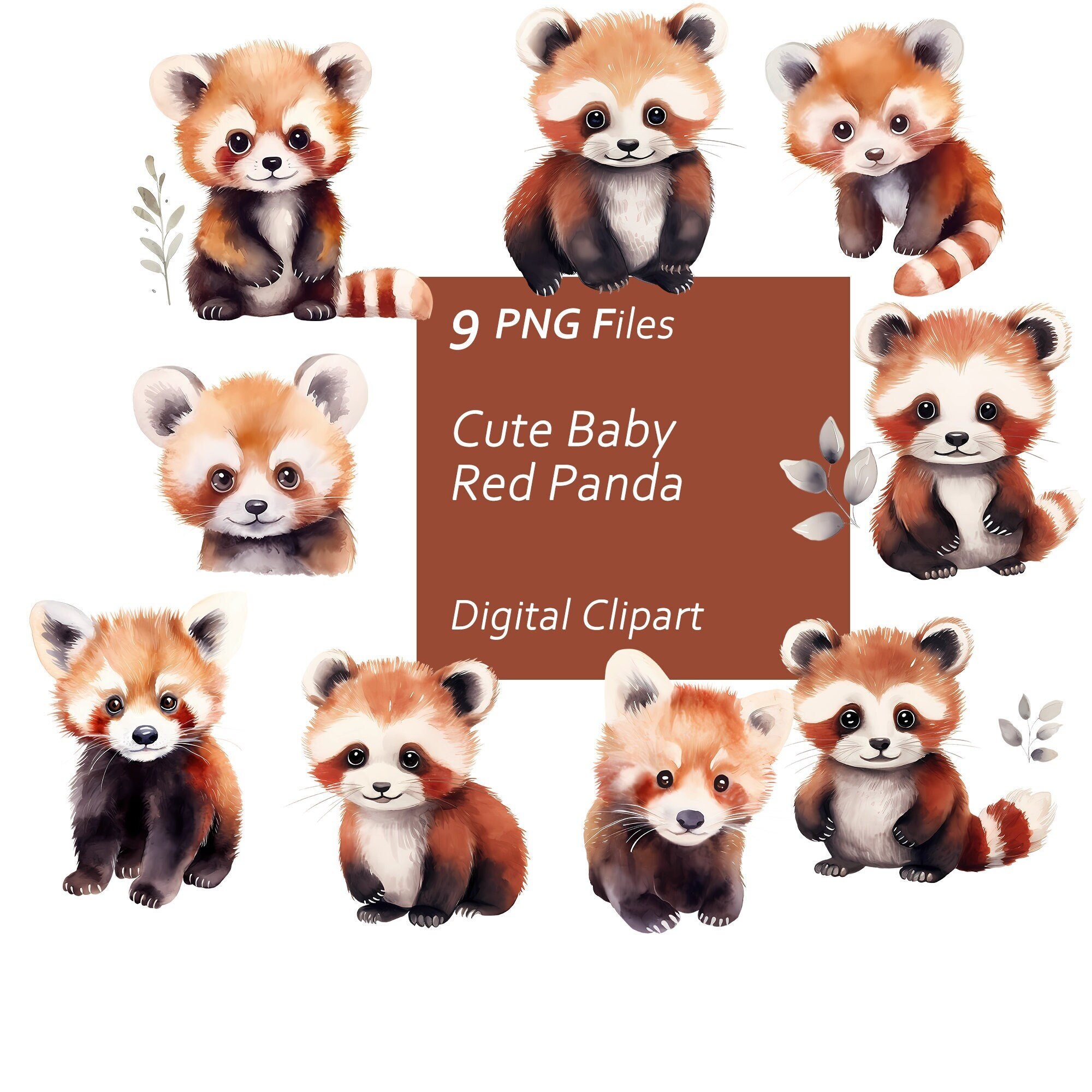 Cute Baby Red Panda Clipart Set - Baby Panda Graphics - Baby Animals ...