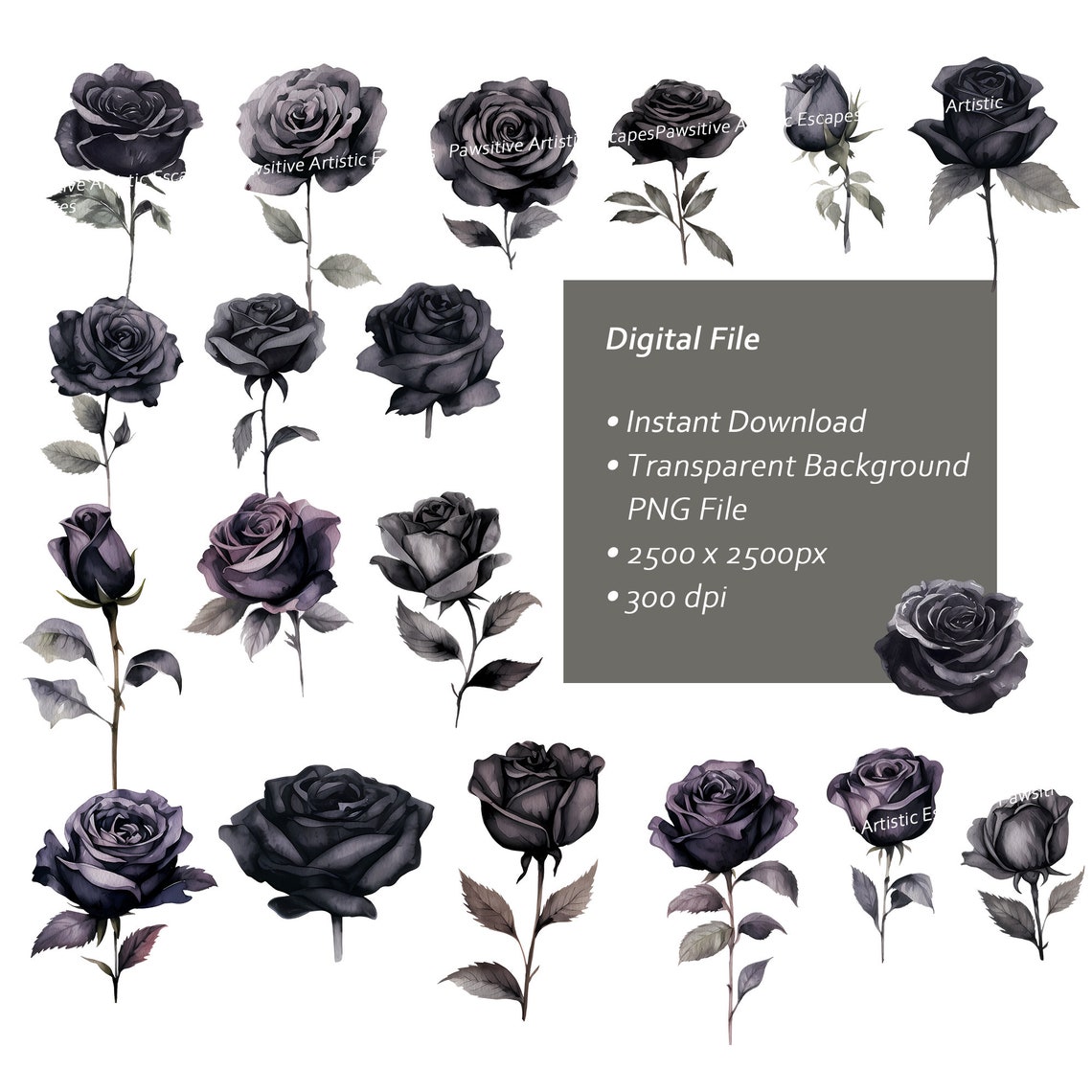 Watercolor Black Rose Clipart Set - Black Rose Graphics - Gothic Roses ...