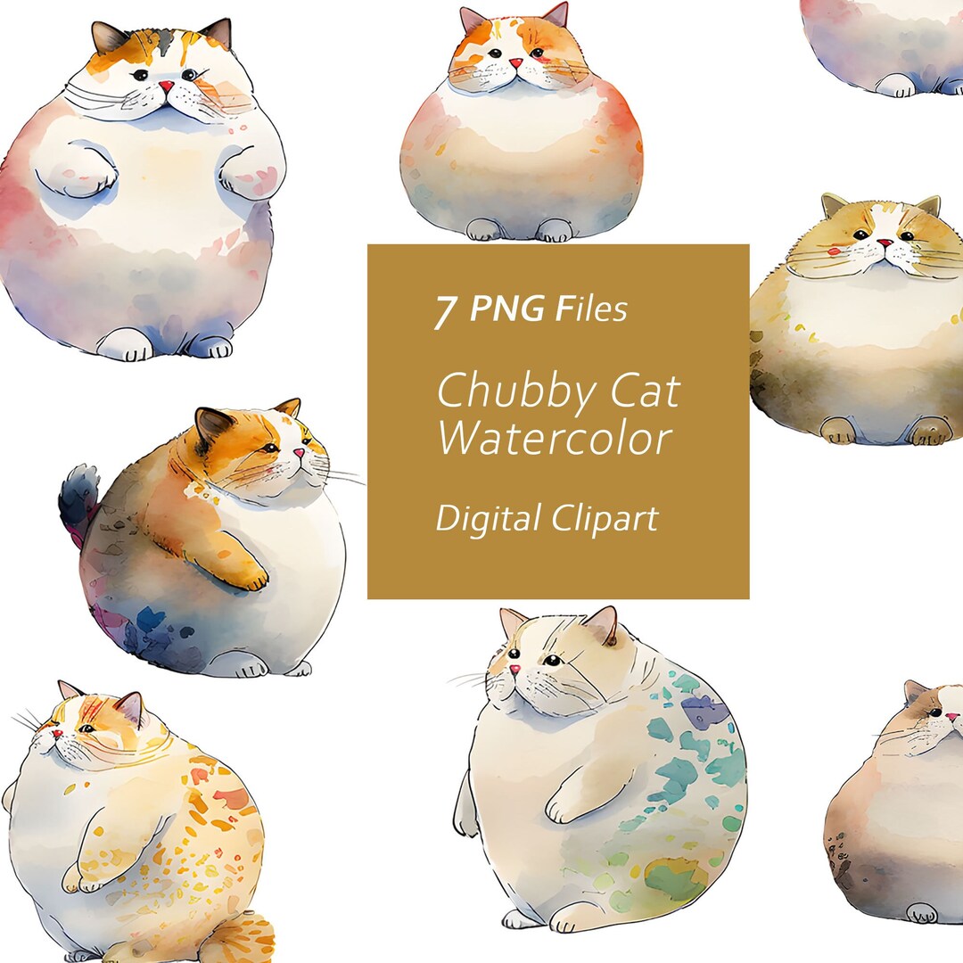 Chubby Cat Watercolor Clipart, Oversized PNG (digital Download) - Etsy