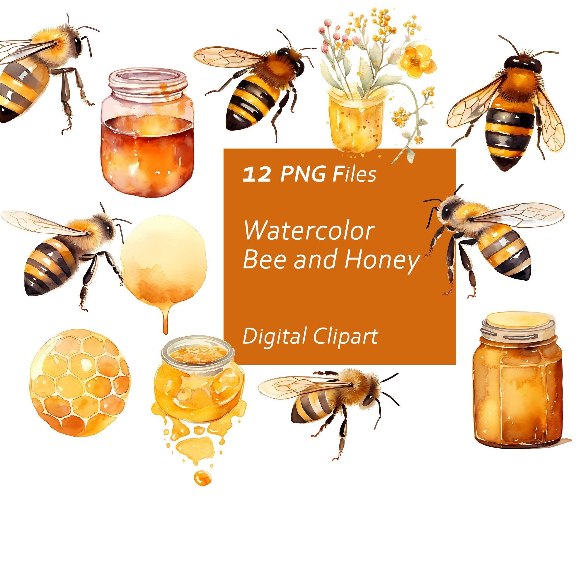 Bee and Honey Clipart Set - Honey Bees - Watercolor Bees - Honeycomb ...