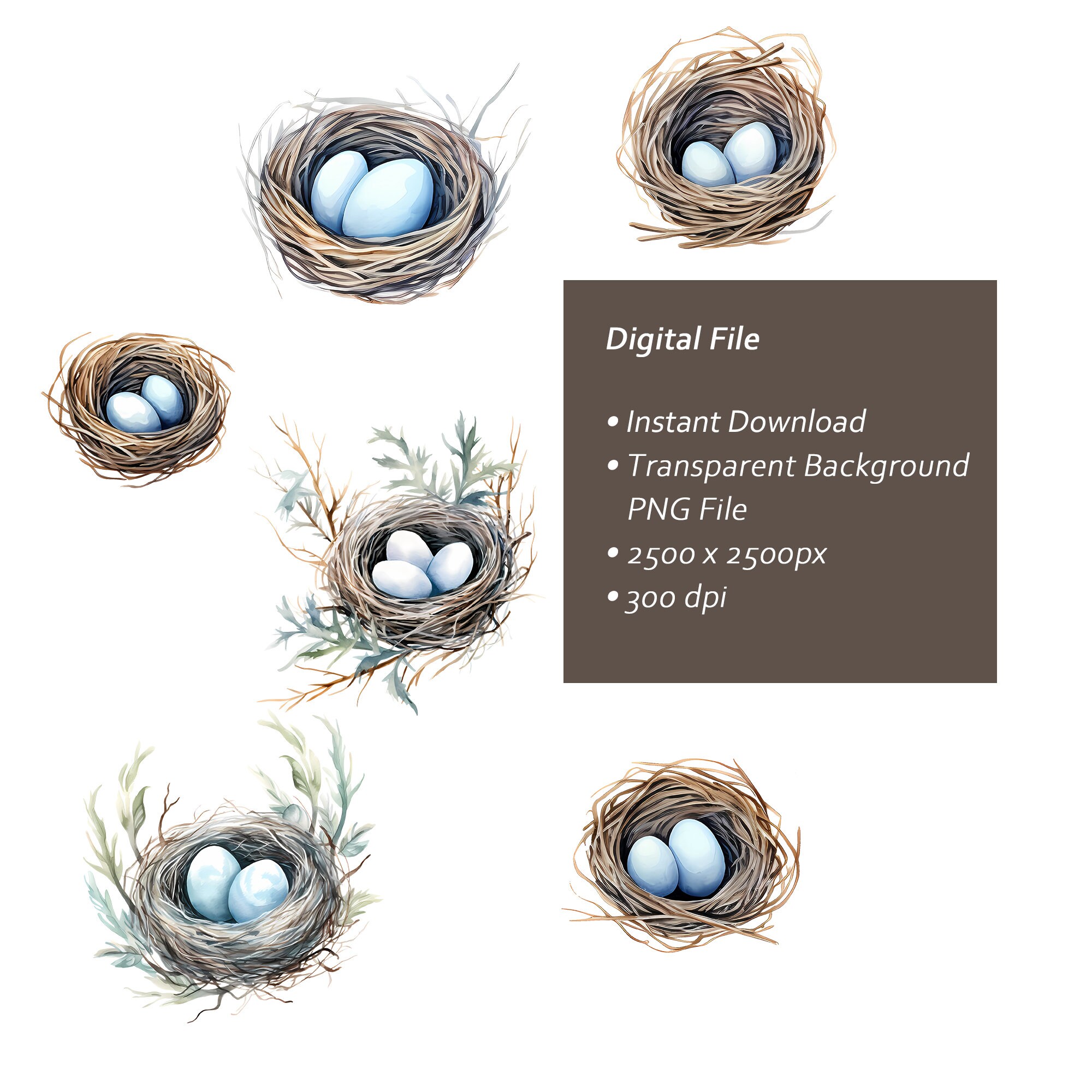Watercolor Bird Nest Clipart Set – Printable Nest Art (PNG, Commercial ...