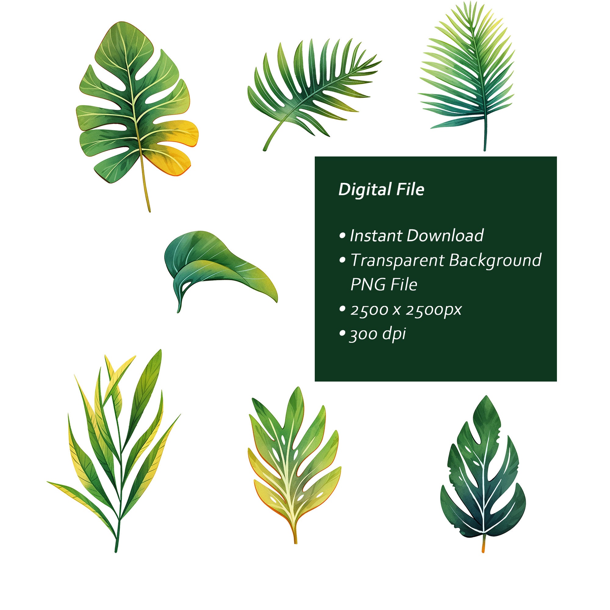 Tropical Leaves Clipart Set - Botanical Decor - Instant Download PNG ...