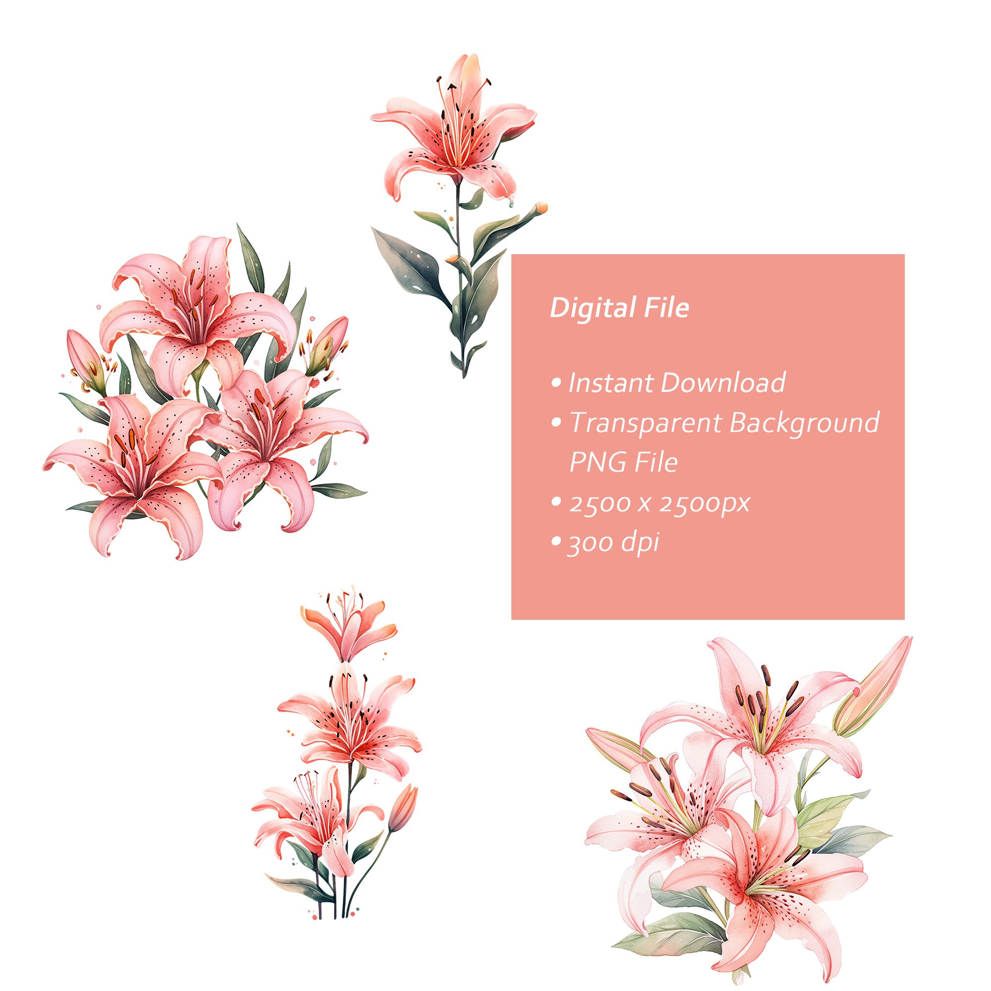 Pink Tiger Lily Watercolor Clipart – Floral PNG Graphics (digital ...
