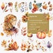 Autumn Watercolor Leaves Clipart Set – Fall PNG Images (commercial Use ...