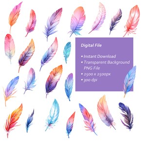 Feather Clipart Set Whimsical Feather Elegant Feathers Instant Download PNG, Commercial Use ...