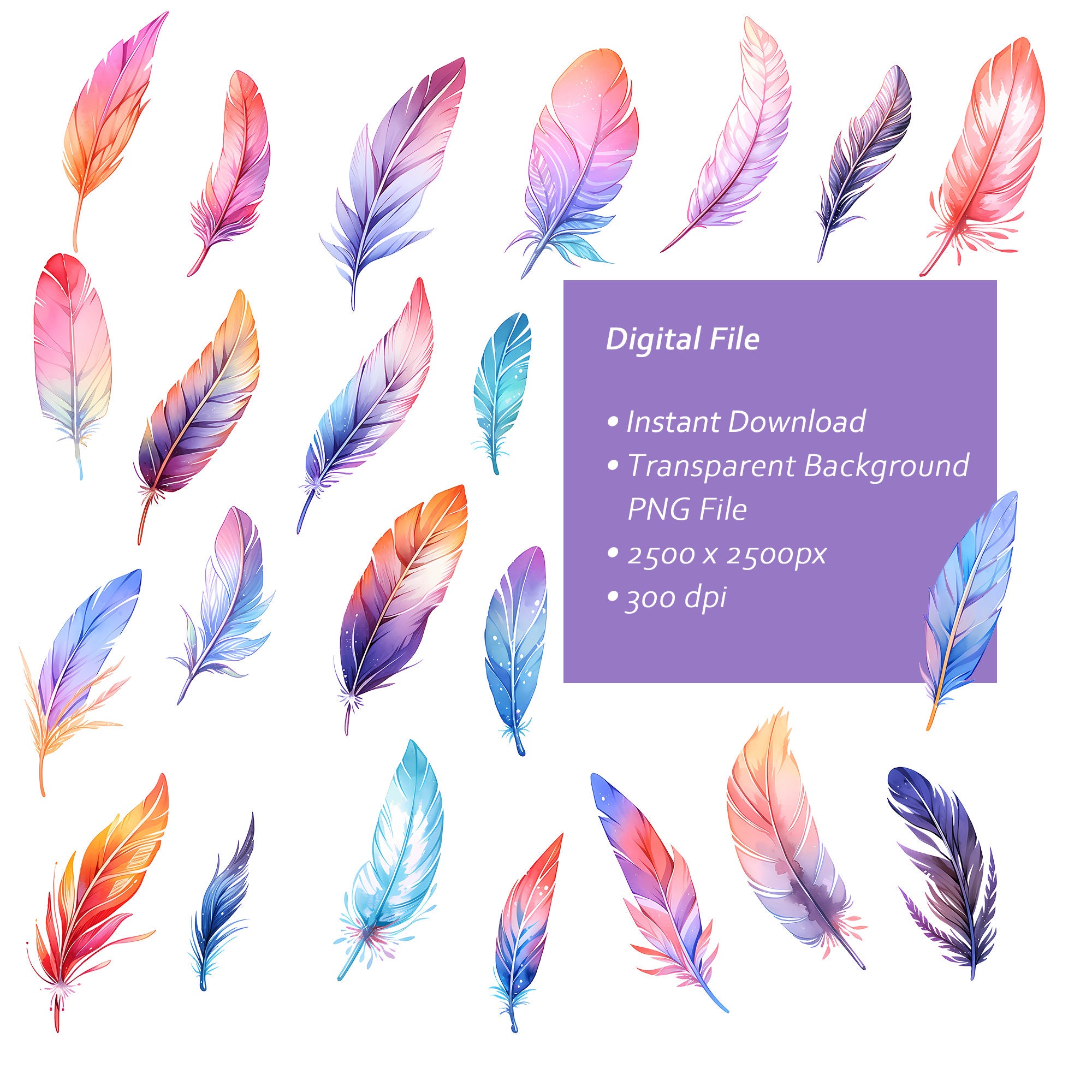 Feather Clipart Set - Whimsical Feather - Elegant Feathers - Instant ...