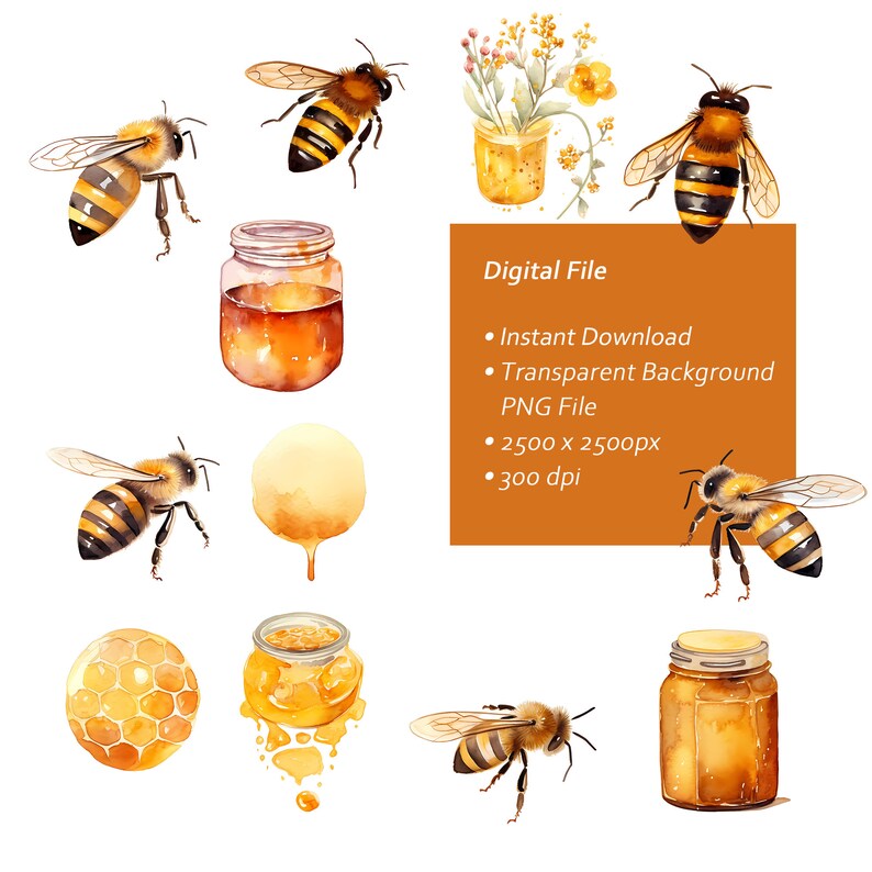 Bee and Honey Clipart Set - Honey Bees - Watercolor Bees - Honeycomb ...