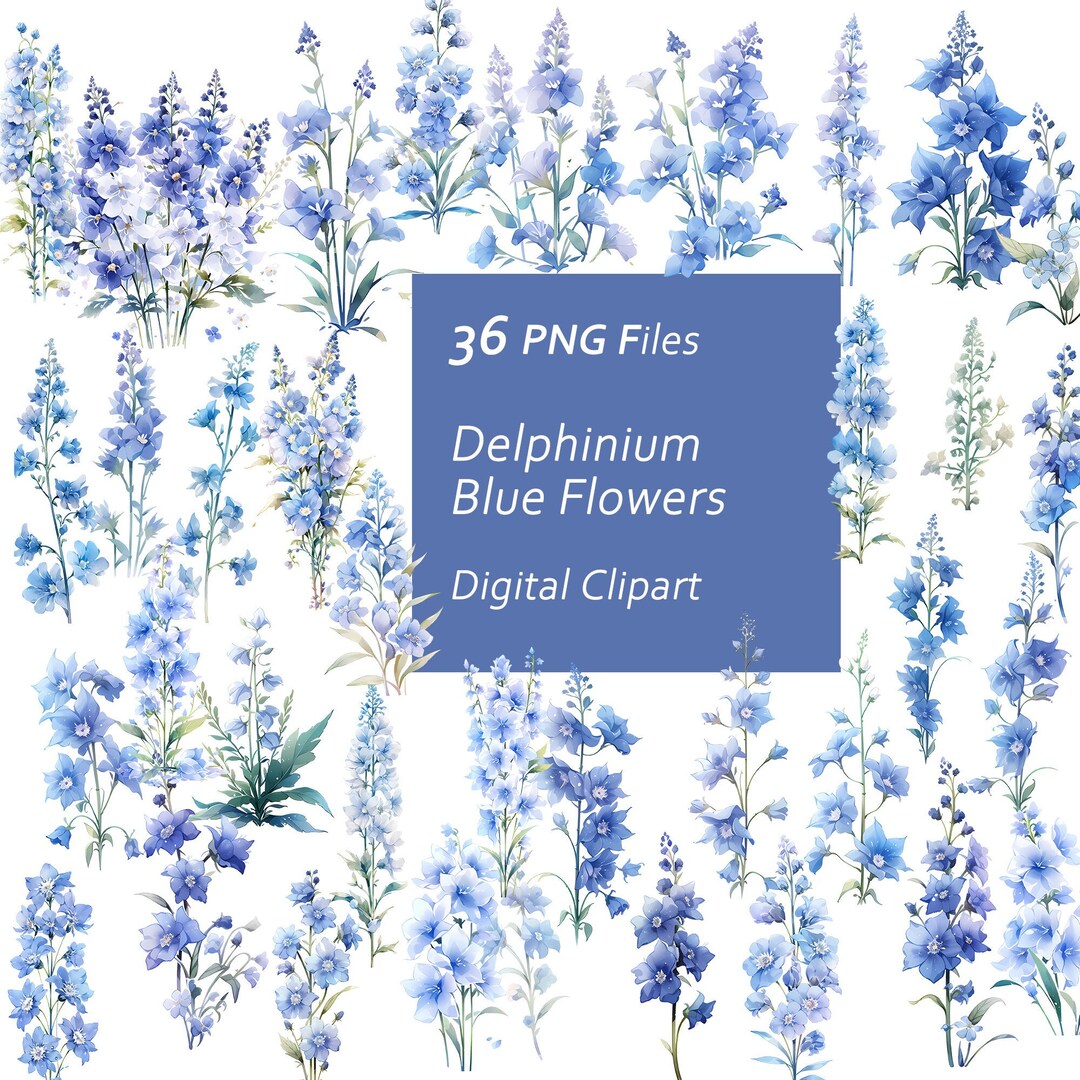 Delphinium Blue Flowers Clipart Set – Commercial Use PNG (instant ...