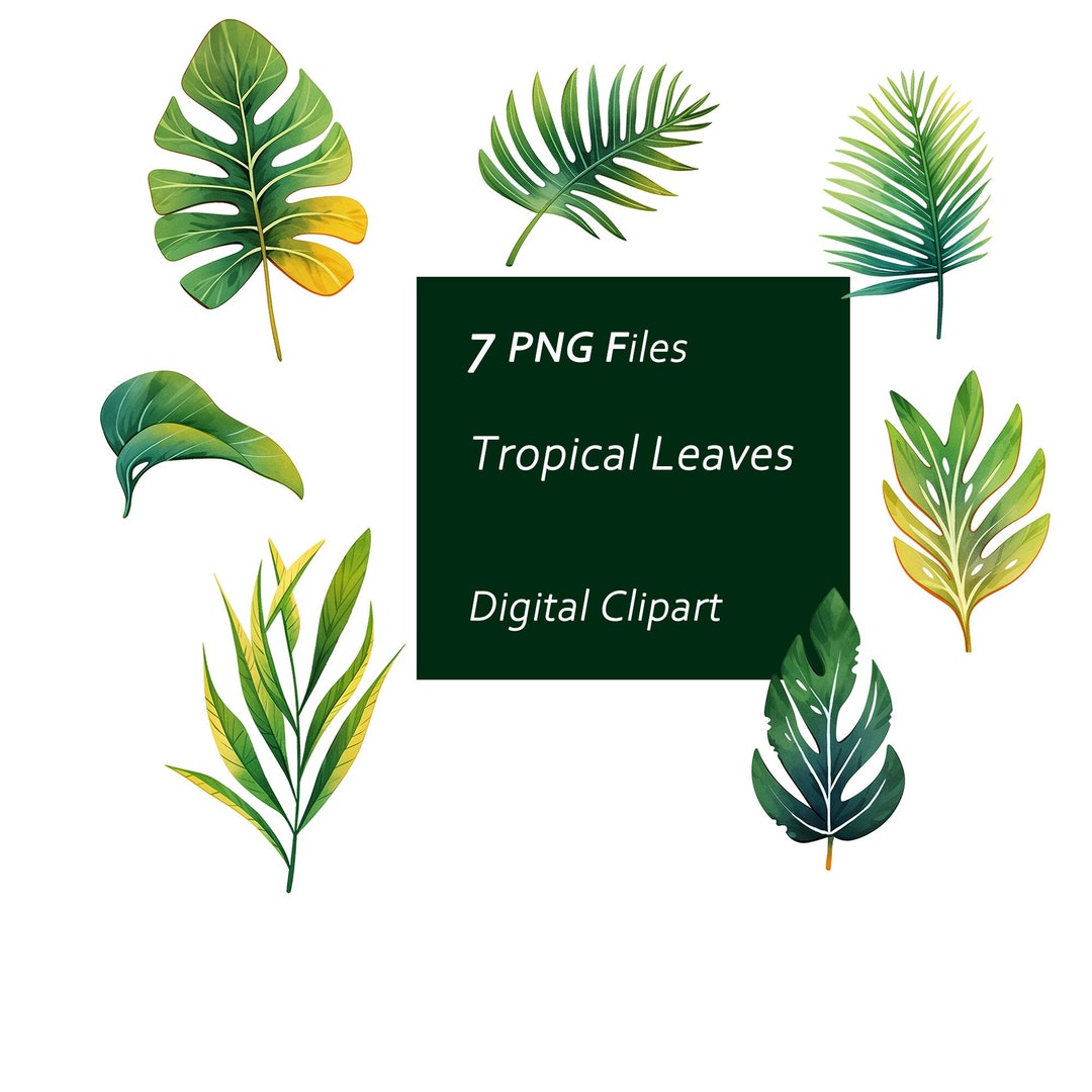 Tropical Leaves Clipart Set - Botanical Decor - Instant Download PNG ...