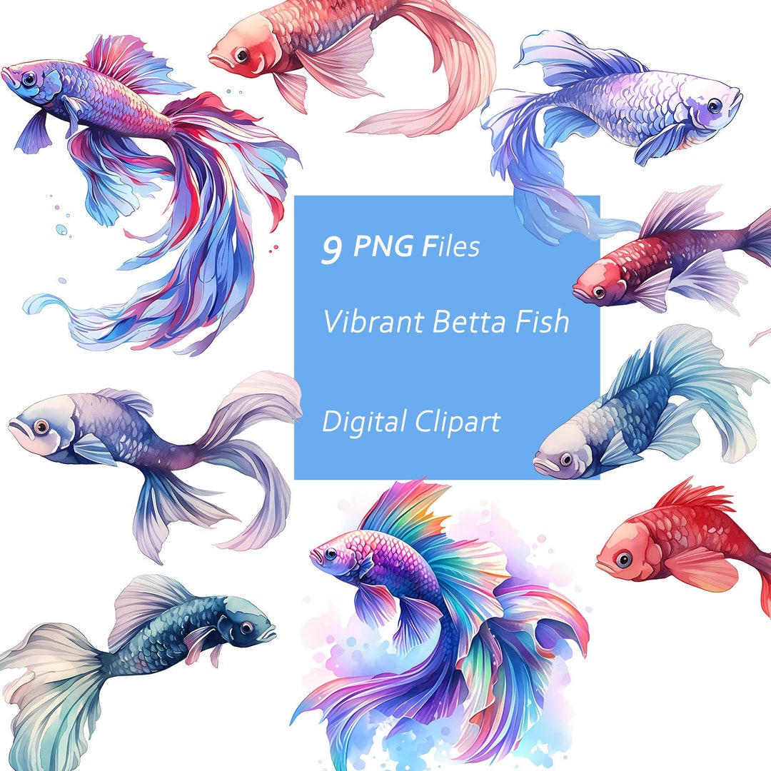 Vibrant Betta Fish Clipart Set - Adorable Prints - Instant Download PNG ...