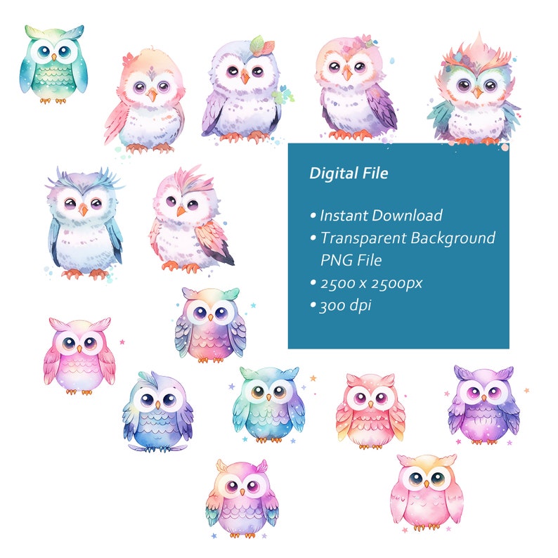 Kawaii Owl Clipart Set Animal Illustration Instant Download PNG ...