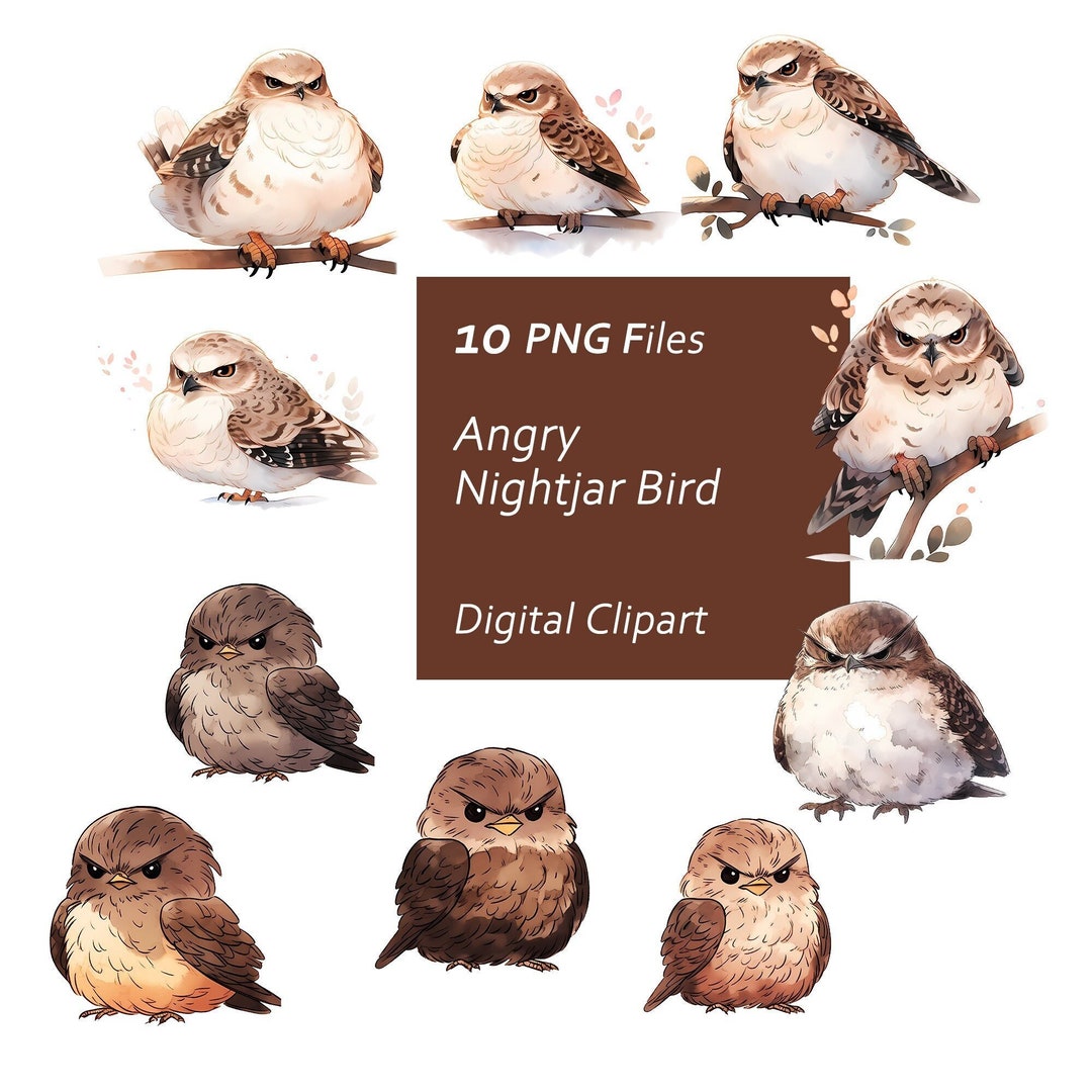 Angry Nightjar Bird Clipart Set - Whimsical Bird - Mad Bird - Instant ...