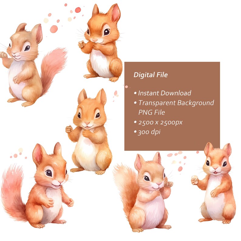 Kawaii Squirrel Clipart Set - Whimsical Squirrel - Cute Squirrel ...