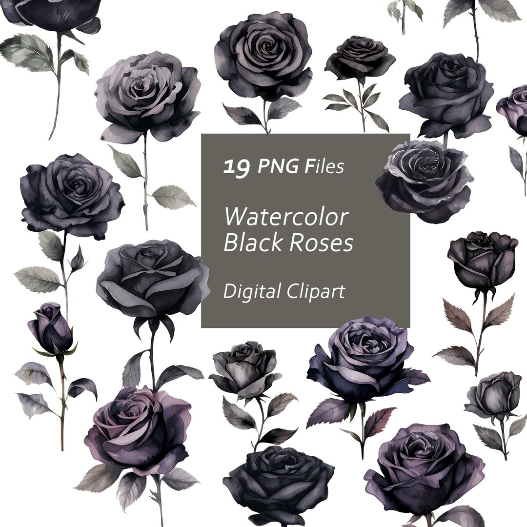 Watercolor Black Rose Clipart Set - Black Rose Graphics - Gothic Roses ...