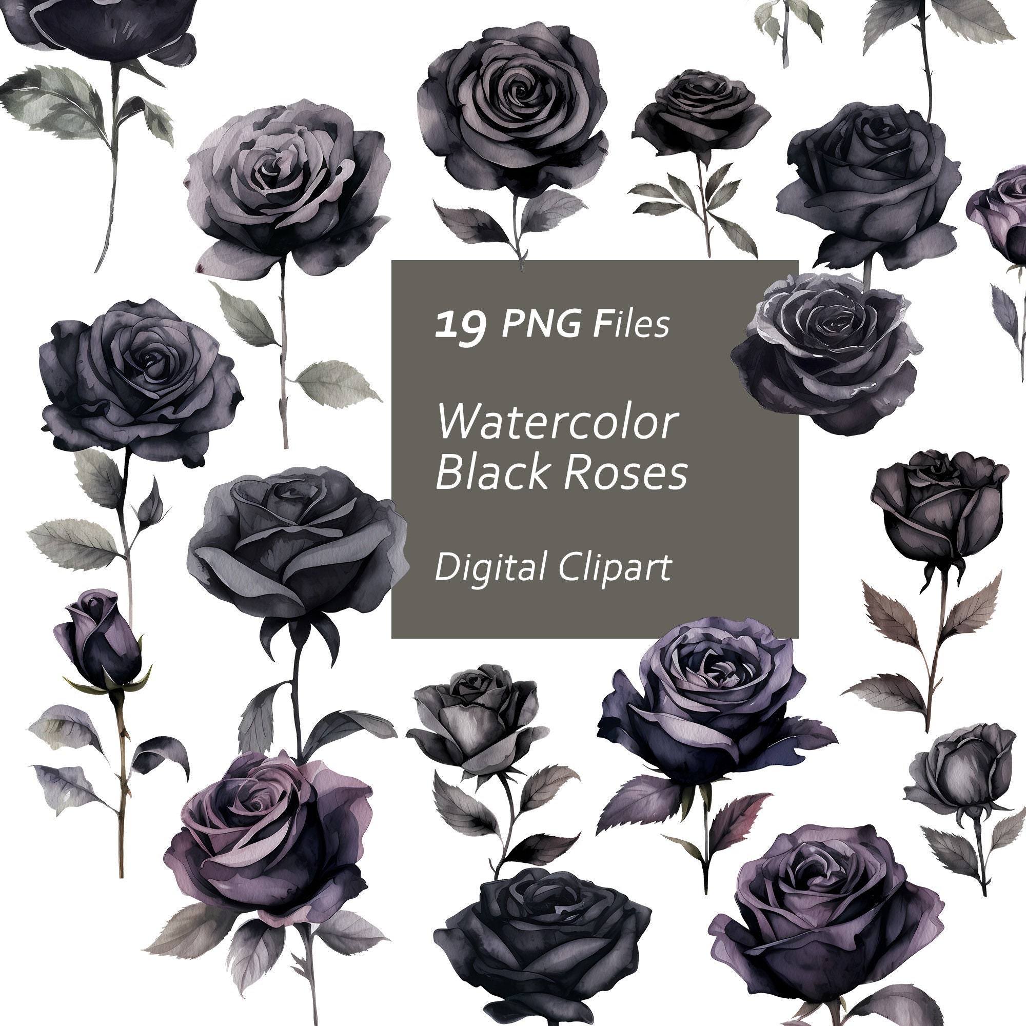 Watercolor Black Rose Clipart Set – Gothic Floral PNG (digital Download ...