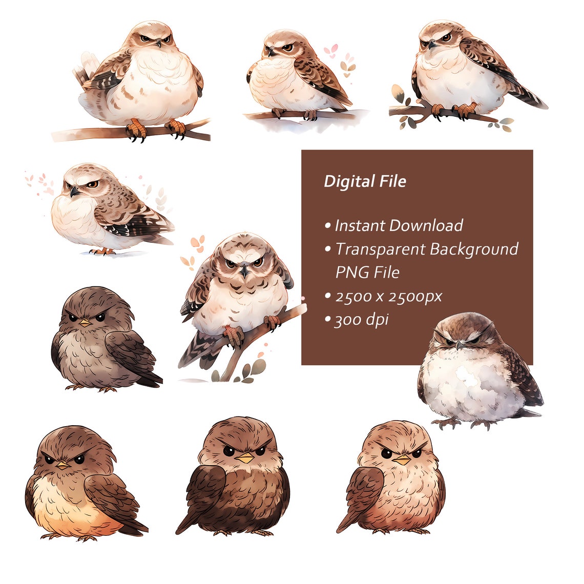 Angry Nightjar Bird Clipart Set - Printable PNG Design (commercial Use ...