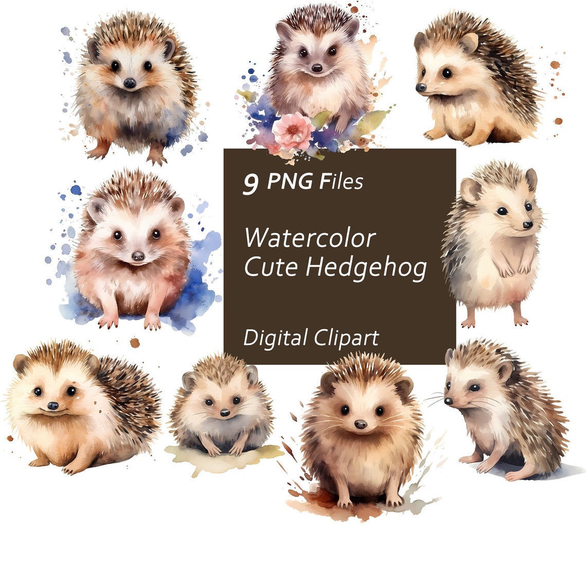 Watercolor Cute Hedgehog Clipart Set - Whimsical Hedgehogs - Cute ...