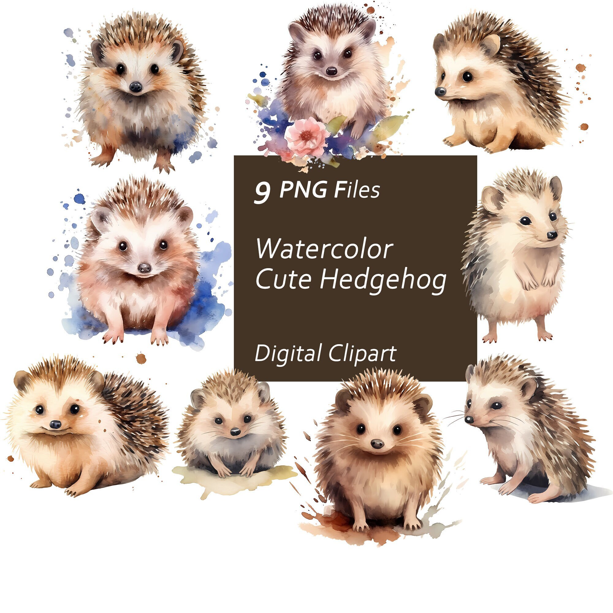 Watercolor Hedgehog Clipart Set – Animal PNG Images (digital Download ...