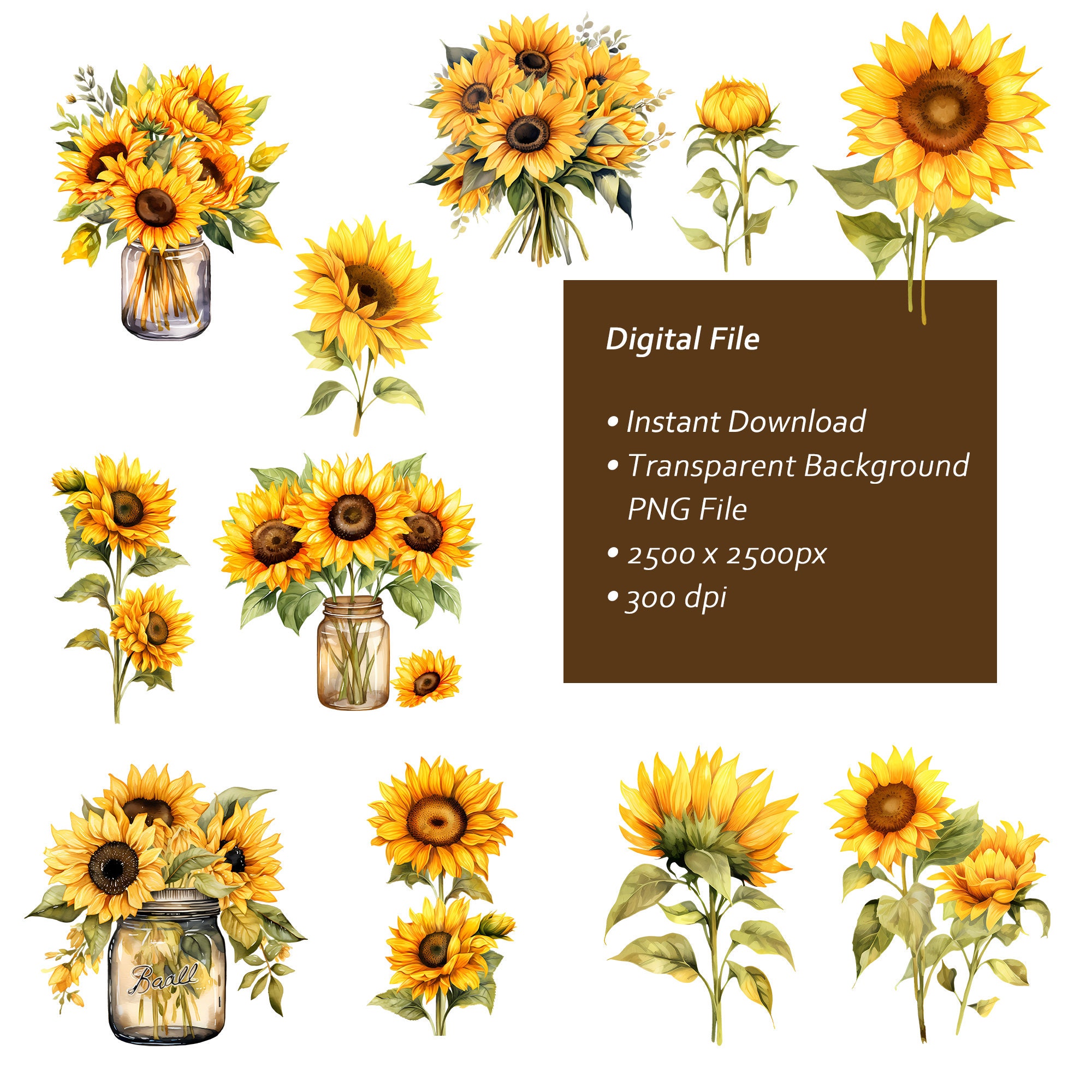 Watercolor Sunflower Clipart Set - Sunflower Clipart - Watercolor ...