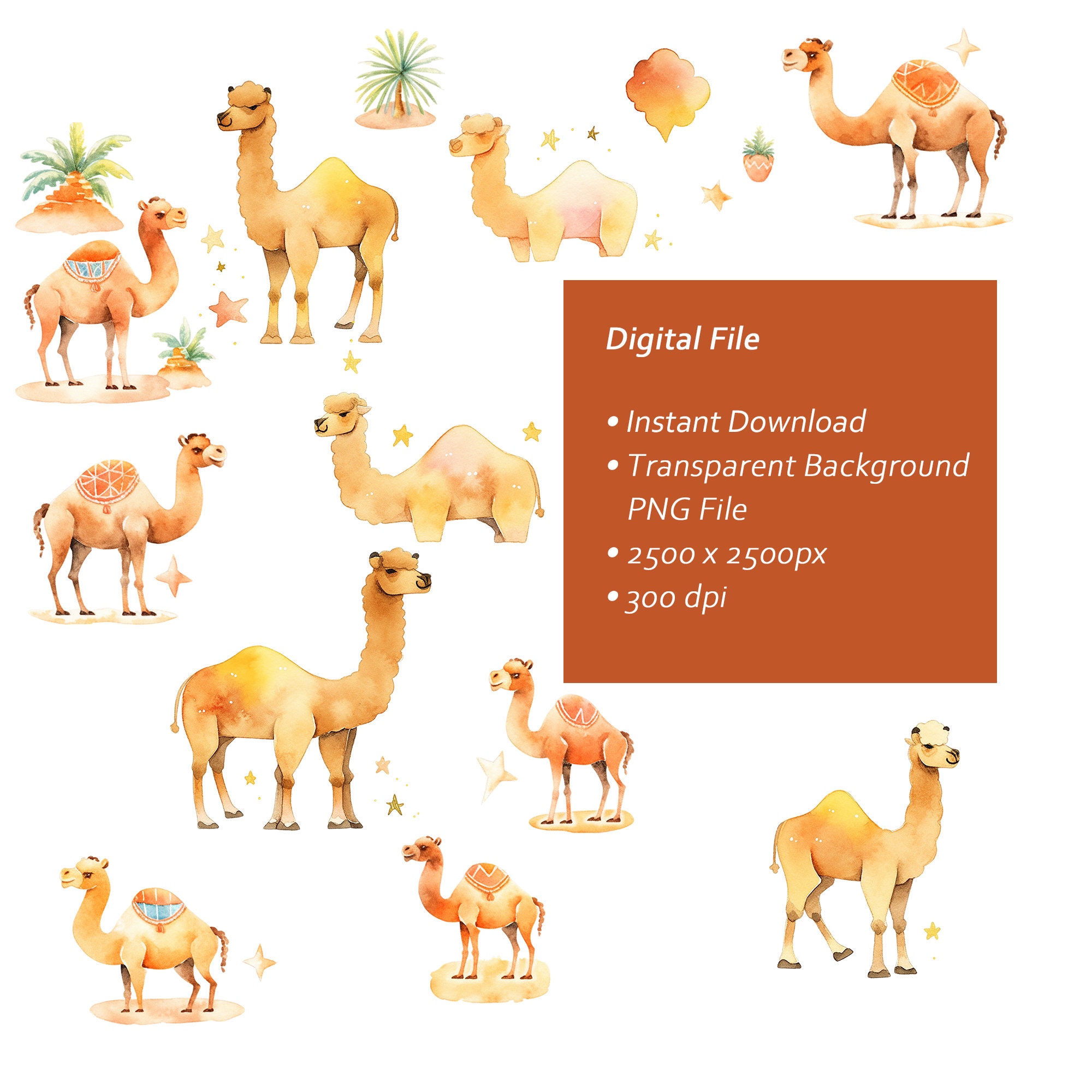Kawaii Camel Clipart Set - Animal Illustration - Instant Download PNG ...