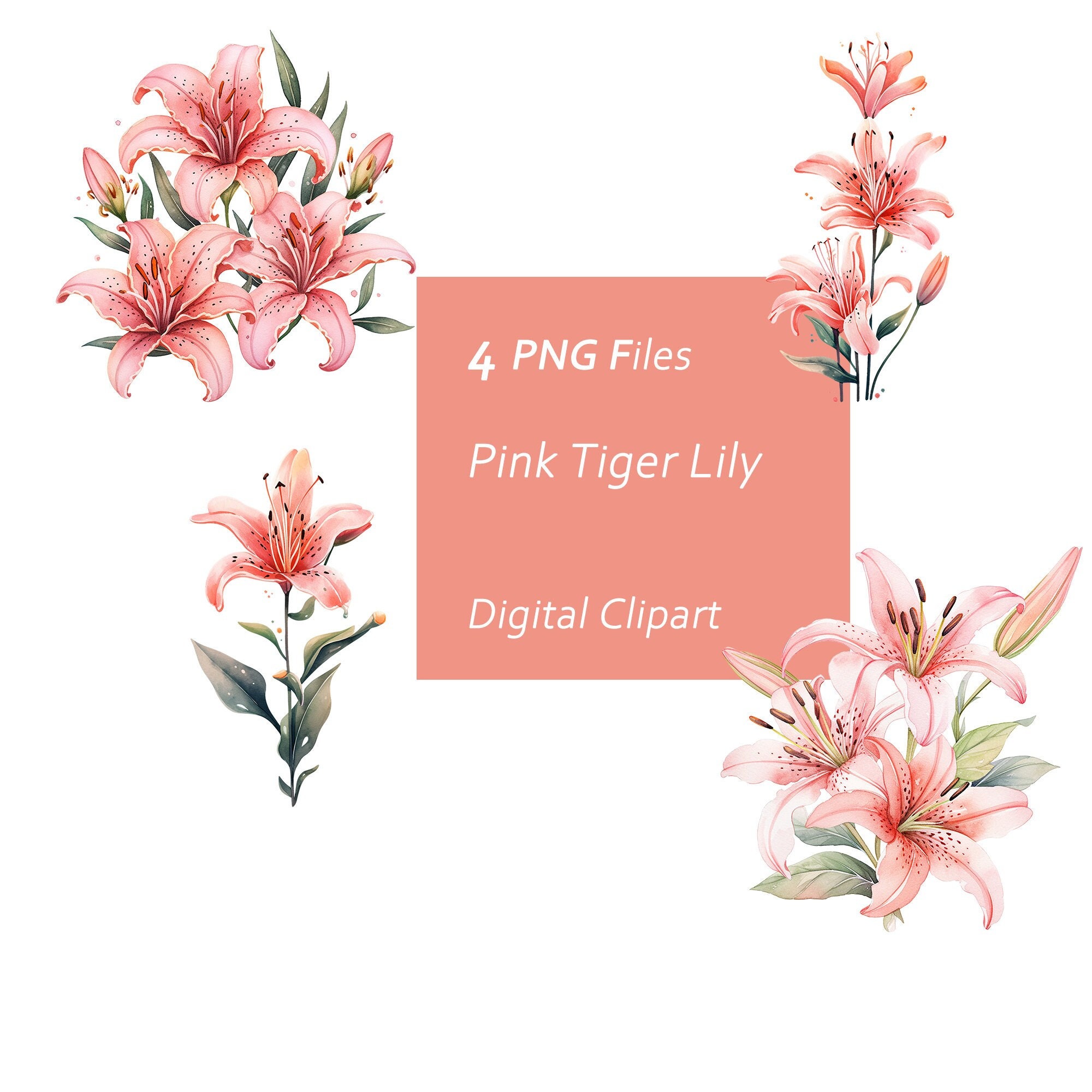 Pink Tiger Lily Watercolor Clipart – Floral PNG Graphics (digital ...