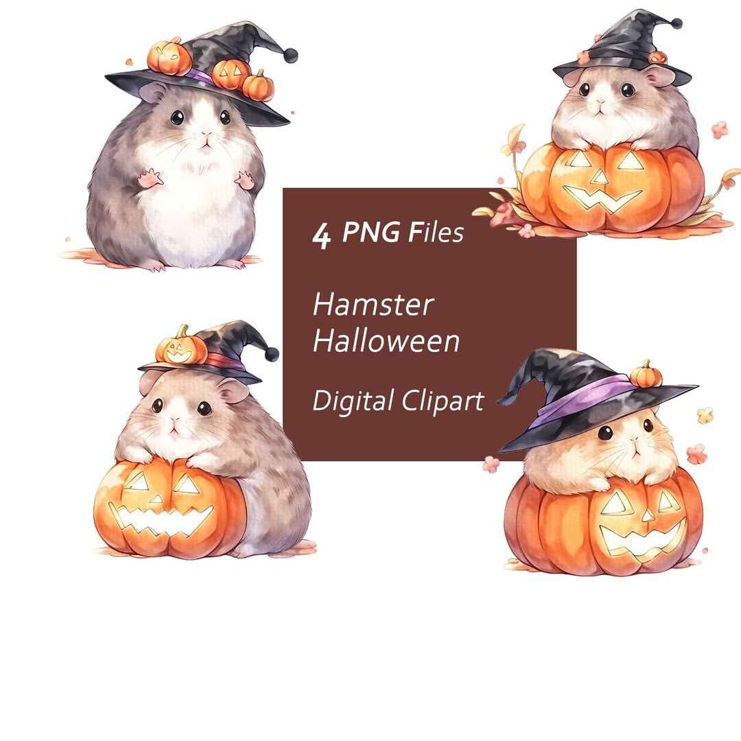 Hamster Halloween Clipart - Witch Hamsters, Pumpkin PNG (digital ...