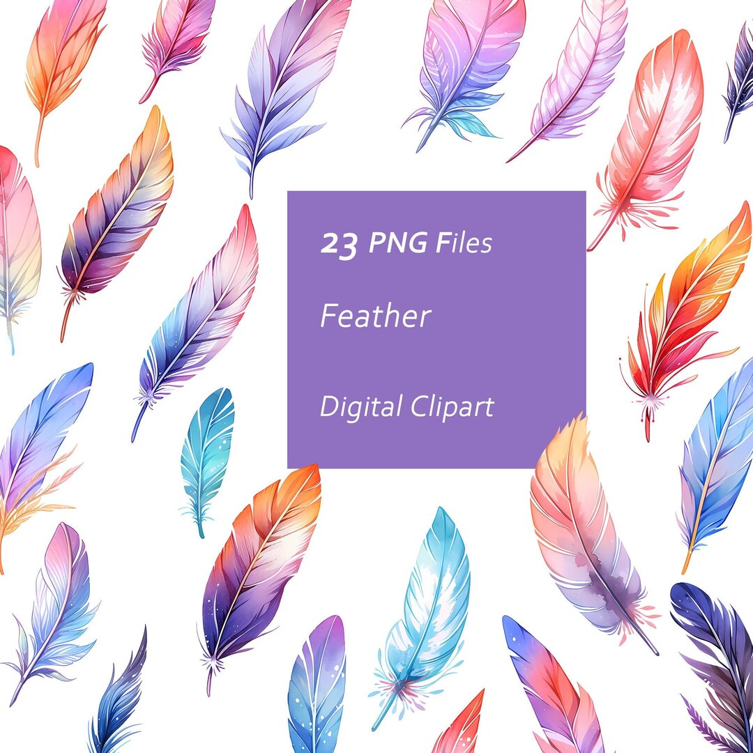 Whimsical Feather Clipart Set – Elegant Printable PNG (instant Download ...