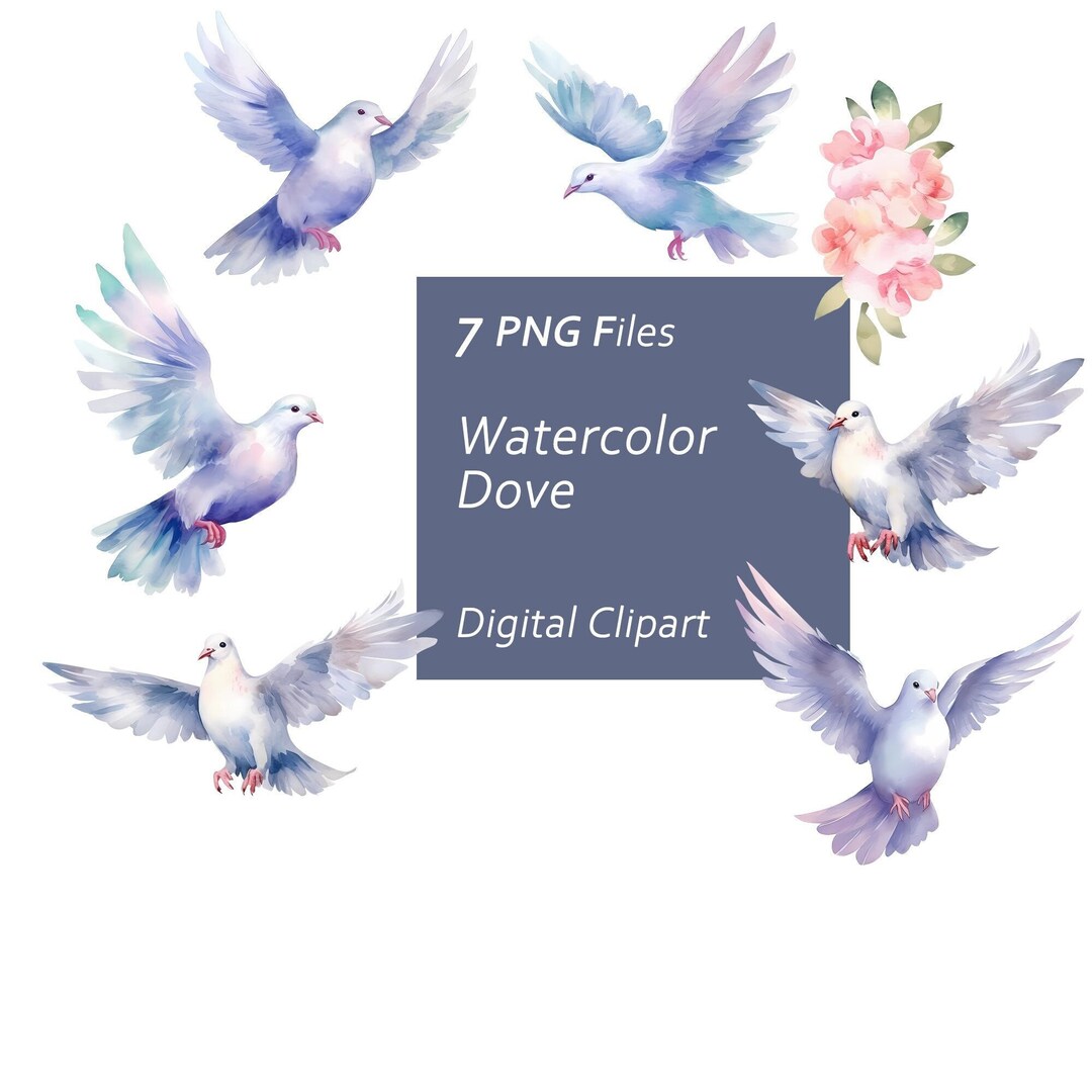 Watercolor Dove Clipart Set - Bird Graphics - Whimsical Birds - Instant ...
