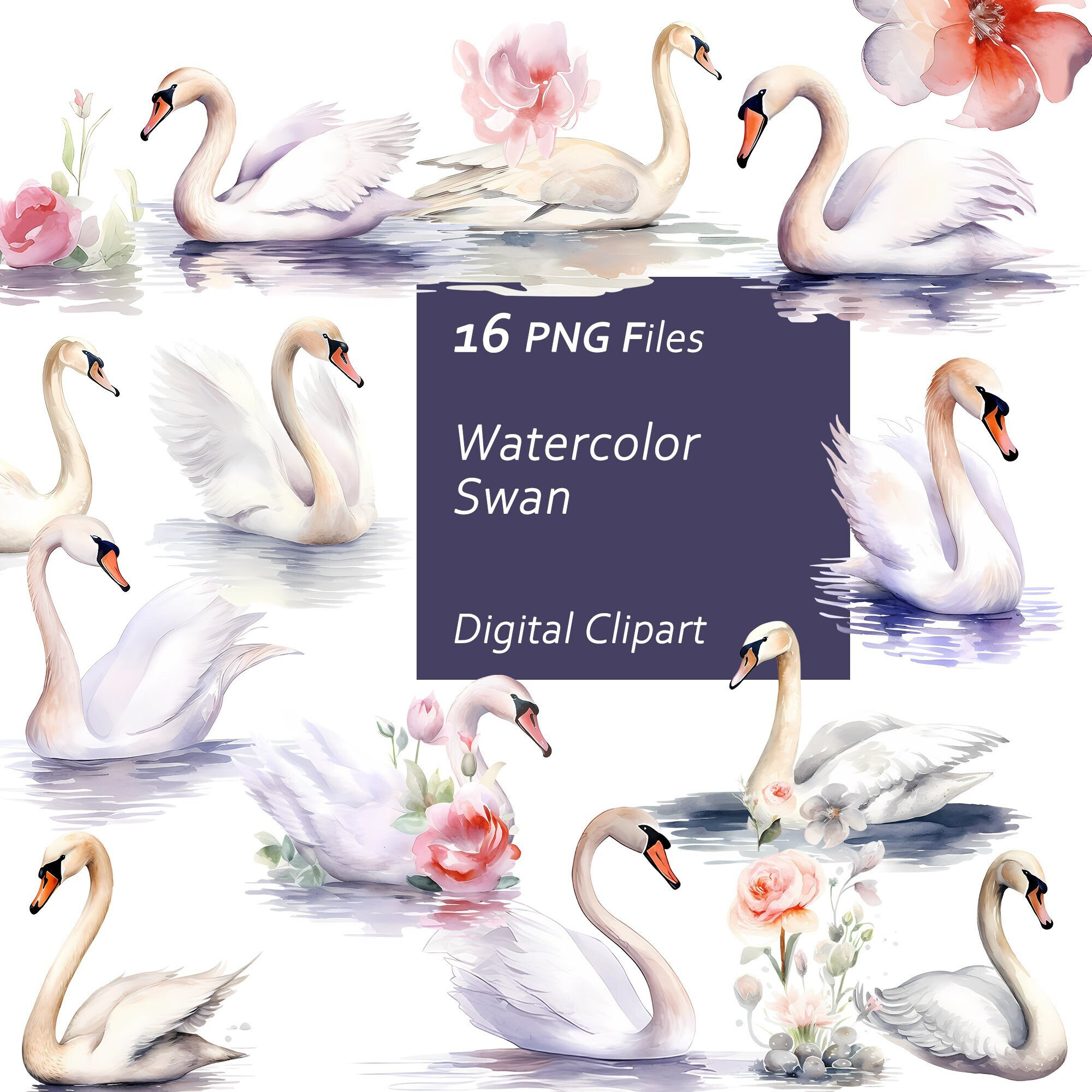 Watercolor Swan Clipart Set - Swan Illustrations - Graceful Swans ...